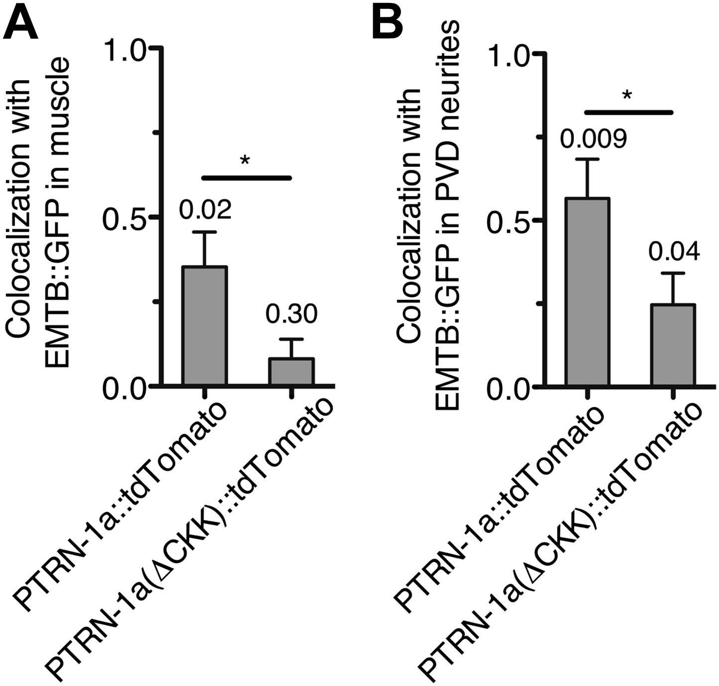 PTRN-1, a microtubule minus end-binding CAMSAP homolog, promotes ...