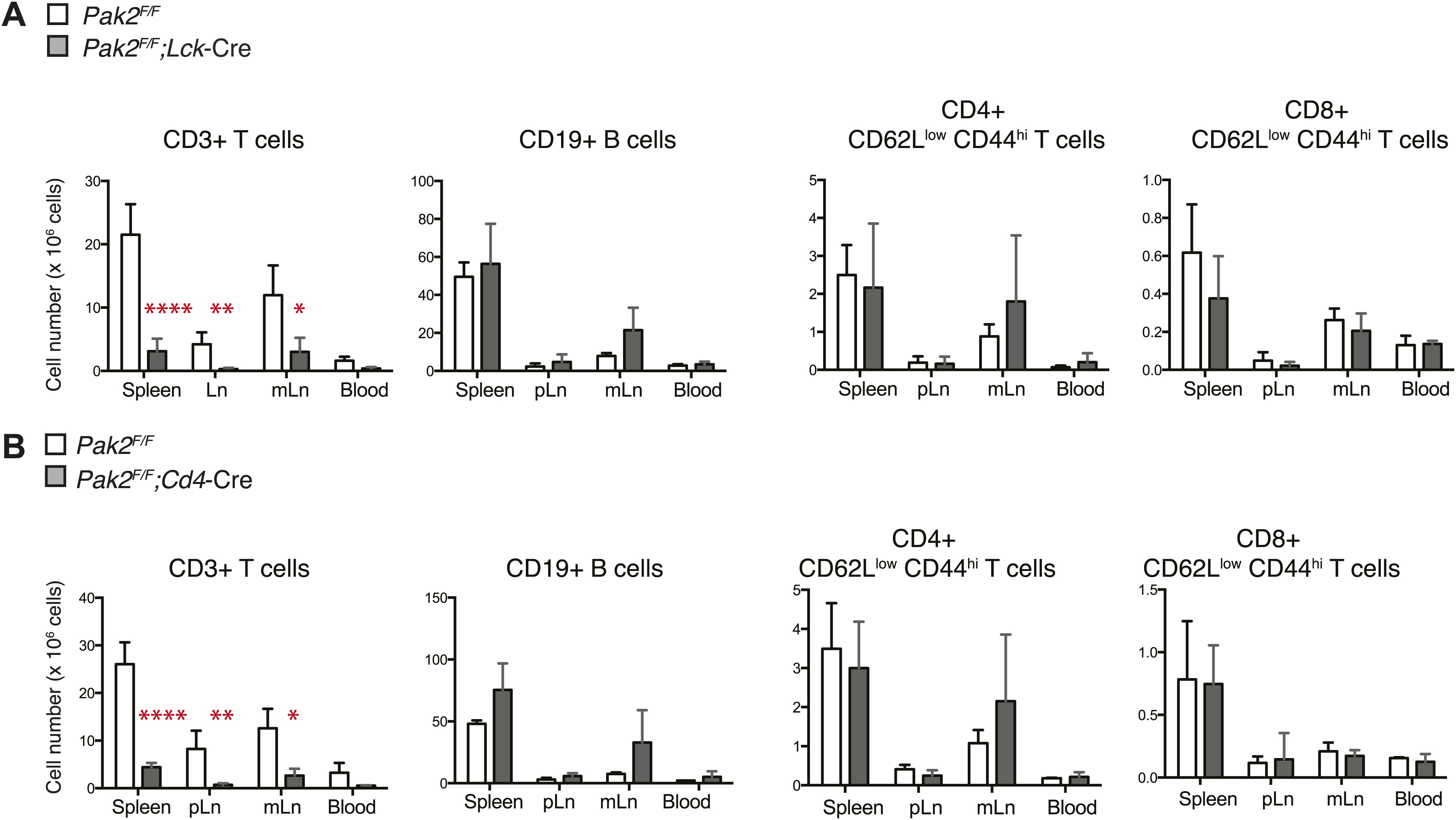 Pak2 is required for actin cytoskeleton remodeling, TCR signaling, and ...