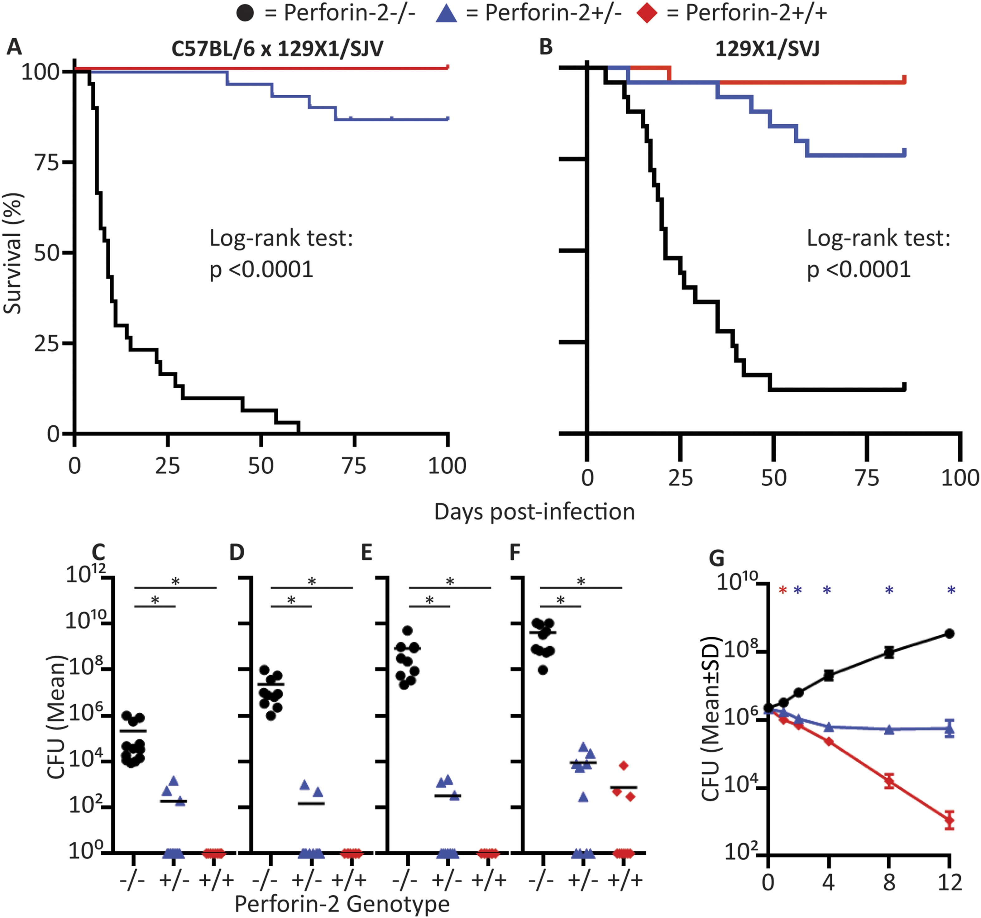 Perforin-2 is essential for intracellular defense of parenchymal cells ...