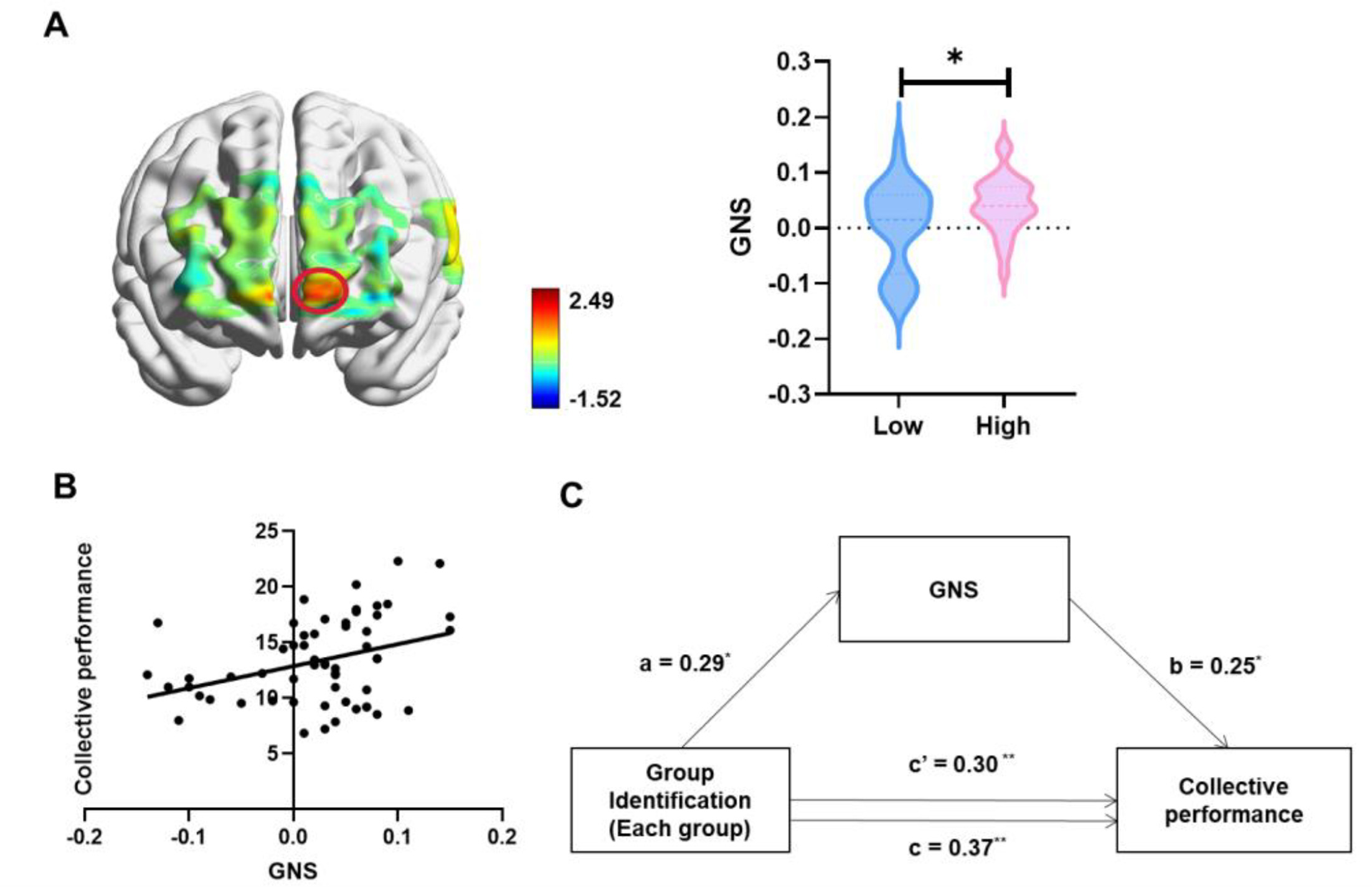 Group identification drives brain integration for collective ...