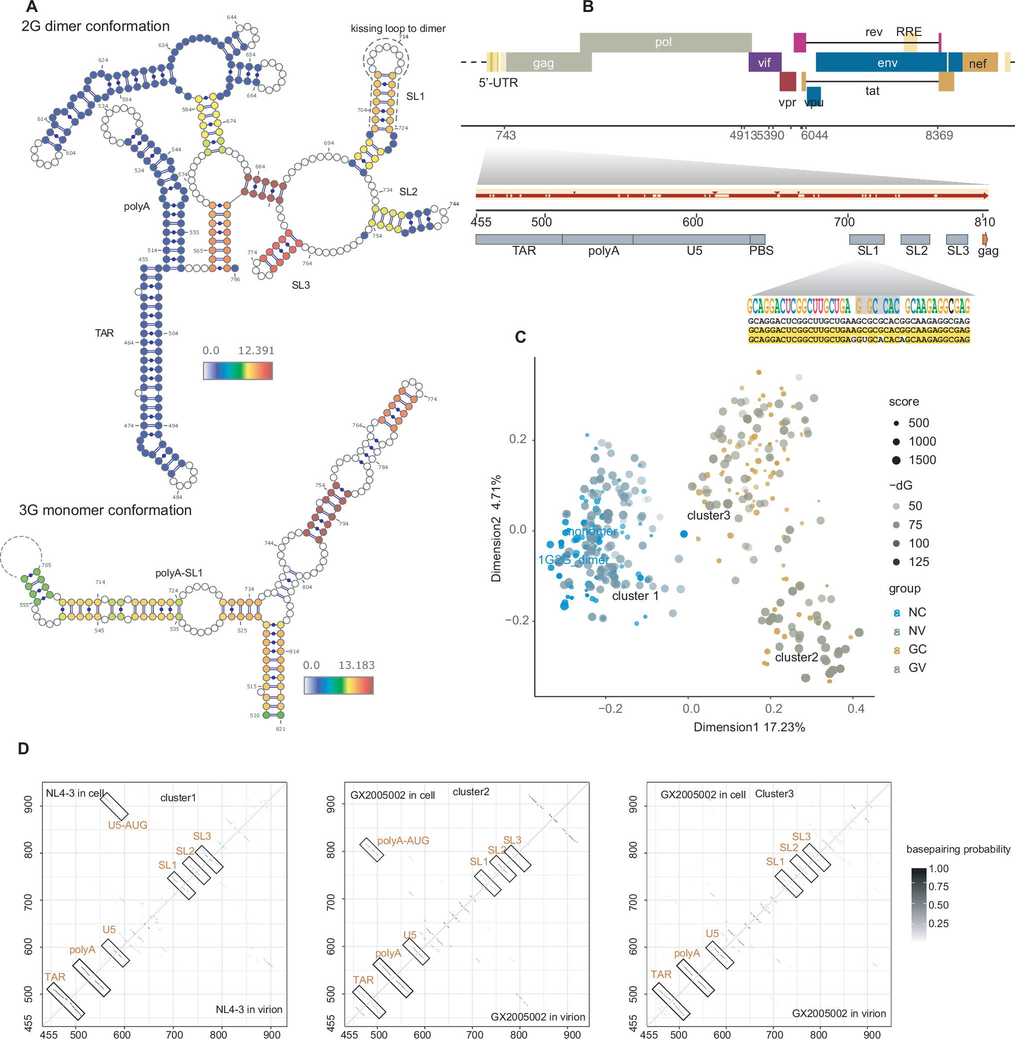 Mapping HIV-1 RNA structure, homodimers, long-range interactions and ...