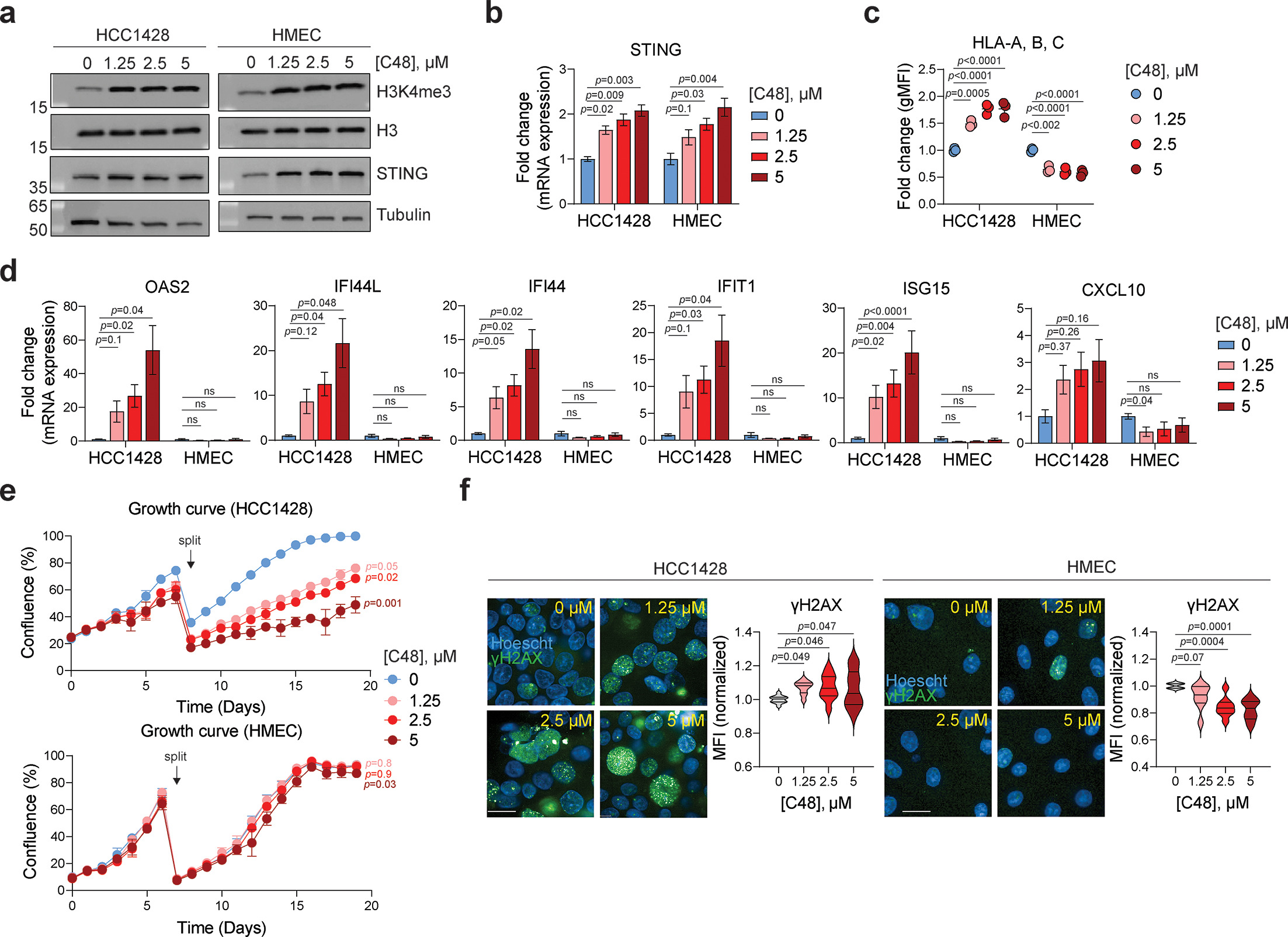 KDM5 demethylases suppress R-loop-mediated ‘viral mimicry’ and DNA ...