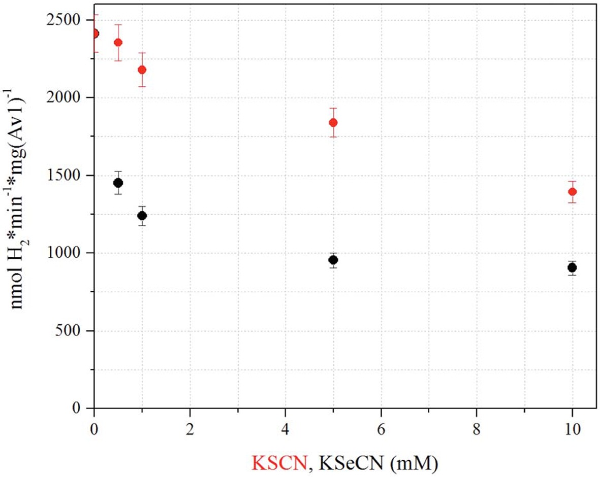 Catalysis-dependent selenium incorporation and migration in the ...