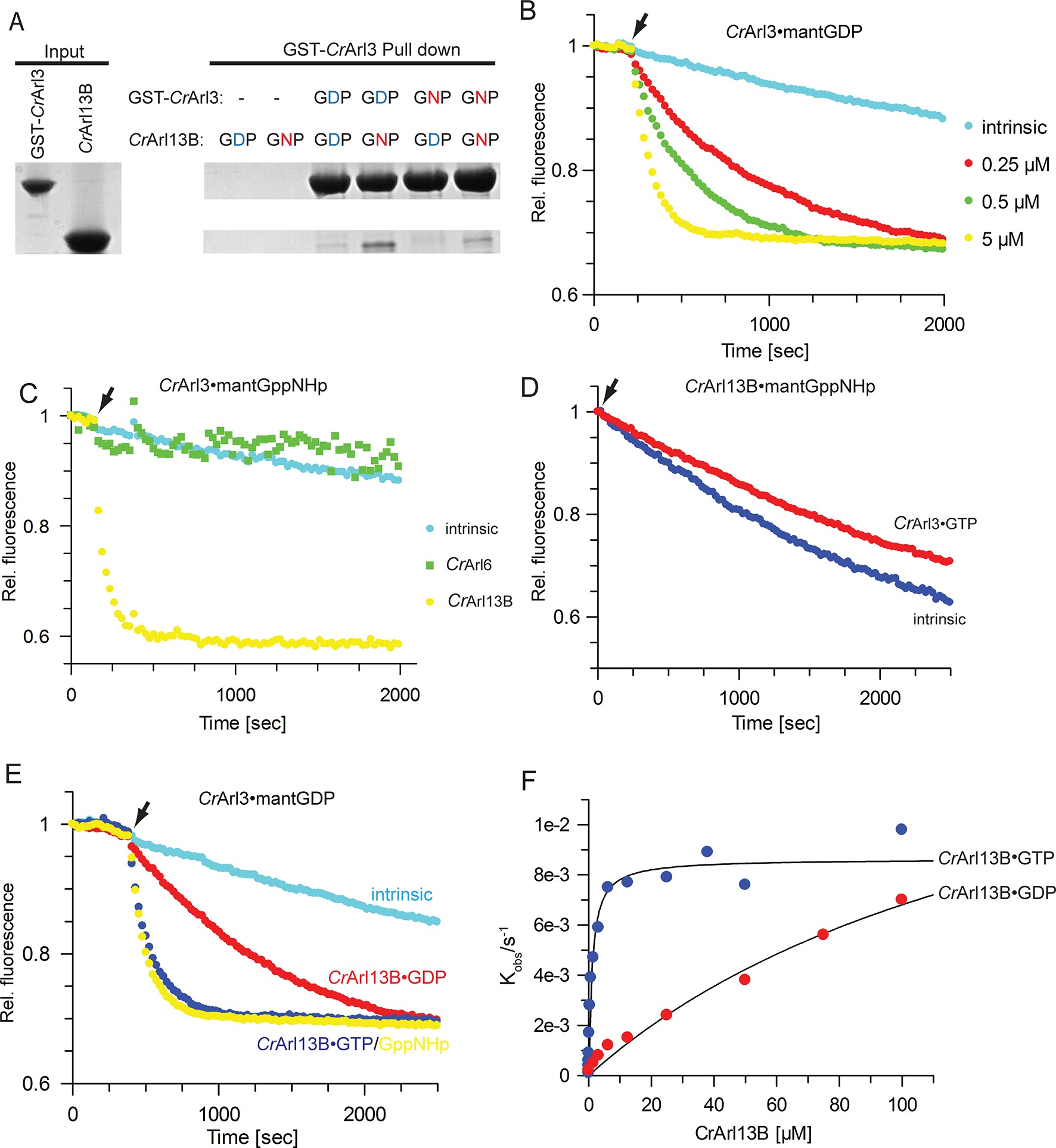 A G-protein activation cascade from Arl13B to Arl3 and implications for ...
