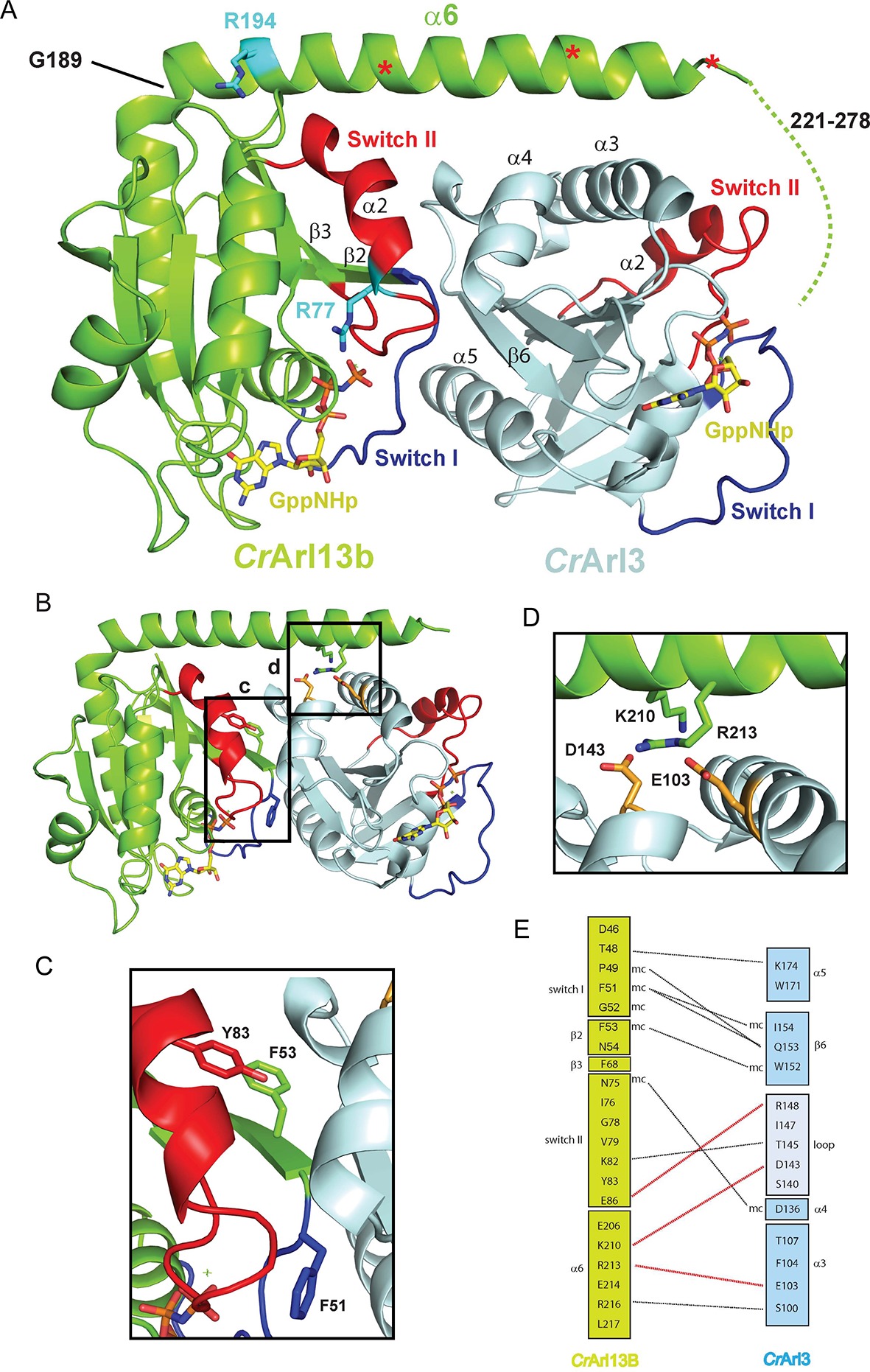 A G-protein activation cascade from Arl13B to Arl3 and implications for ...