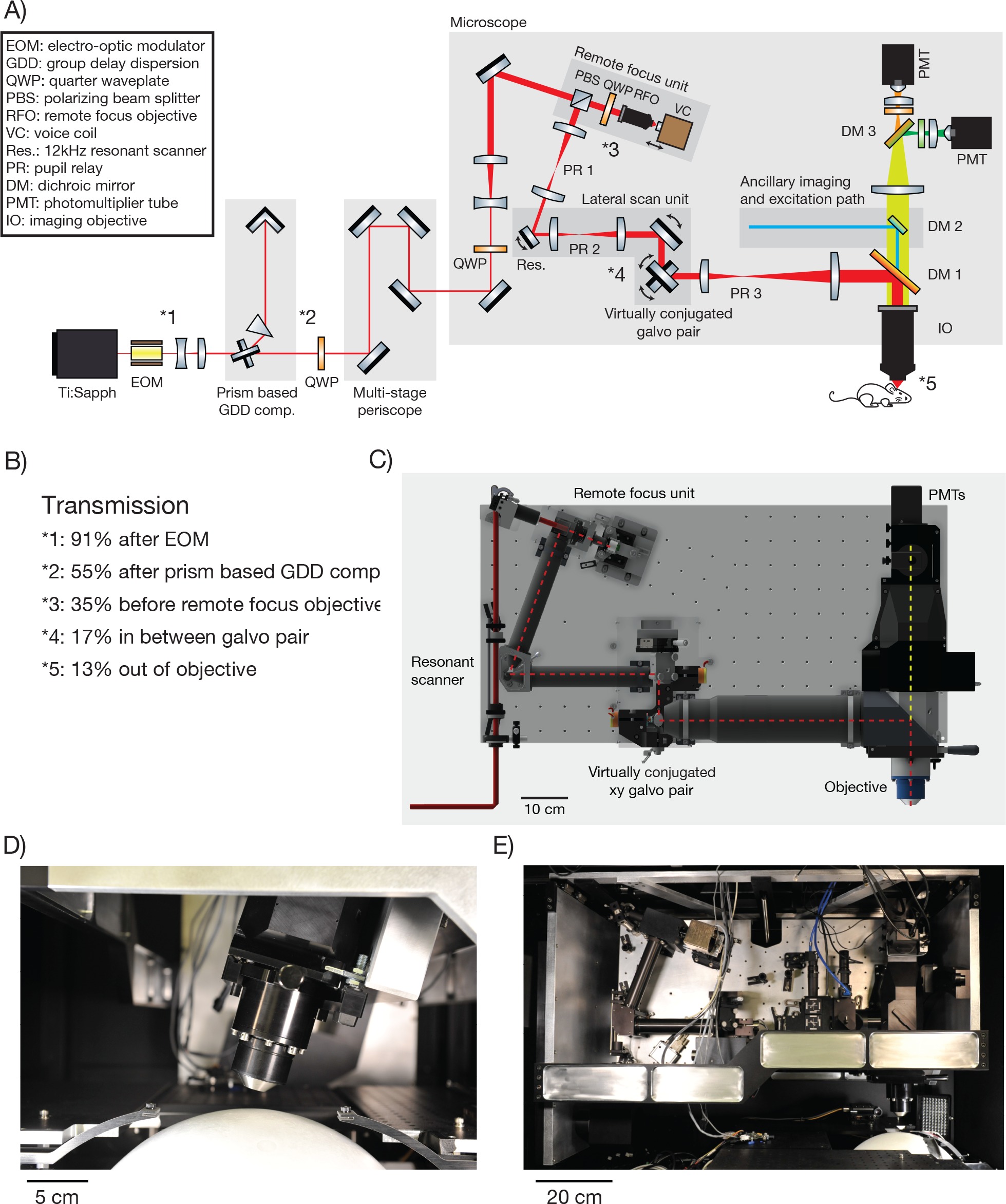 A large field of view two-photon mesoscope with subcellular resolution ...