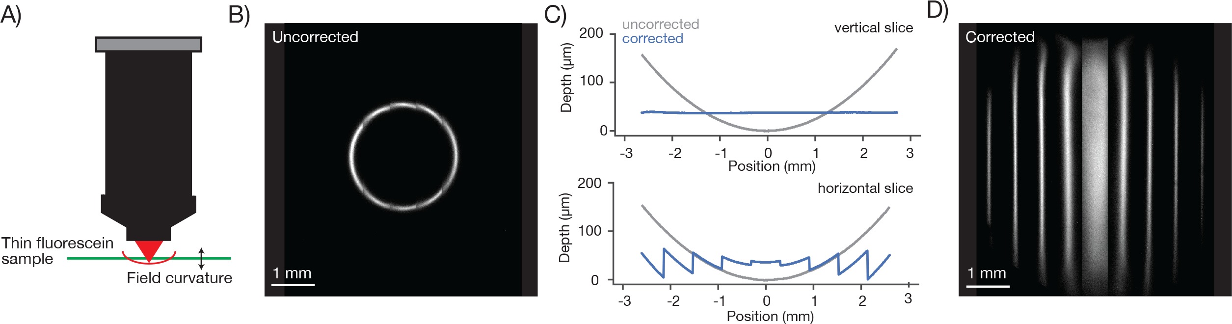 A large field of view two-photon mesoscope with subcellular resolution ...