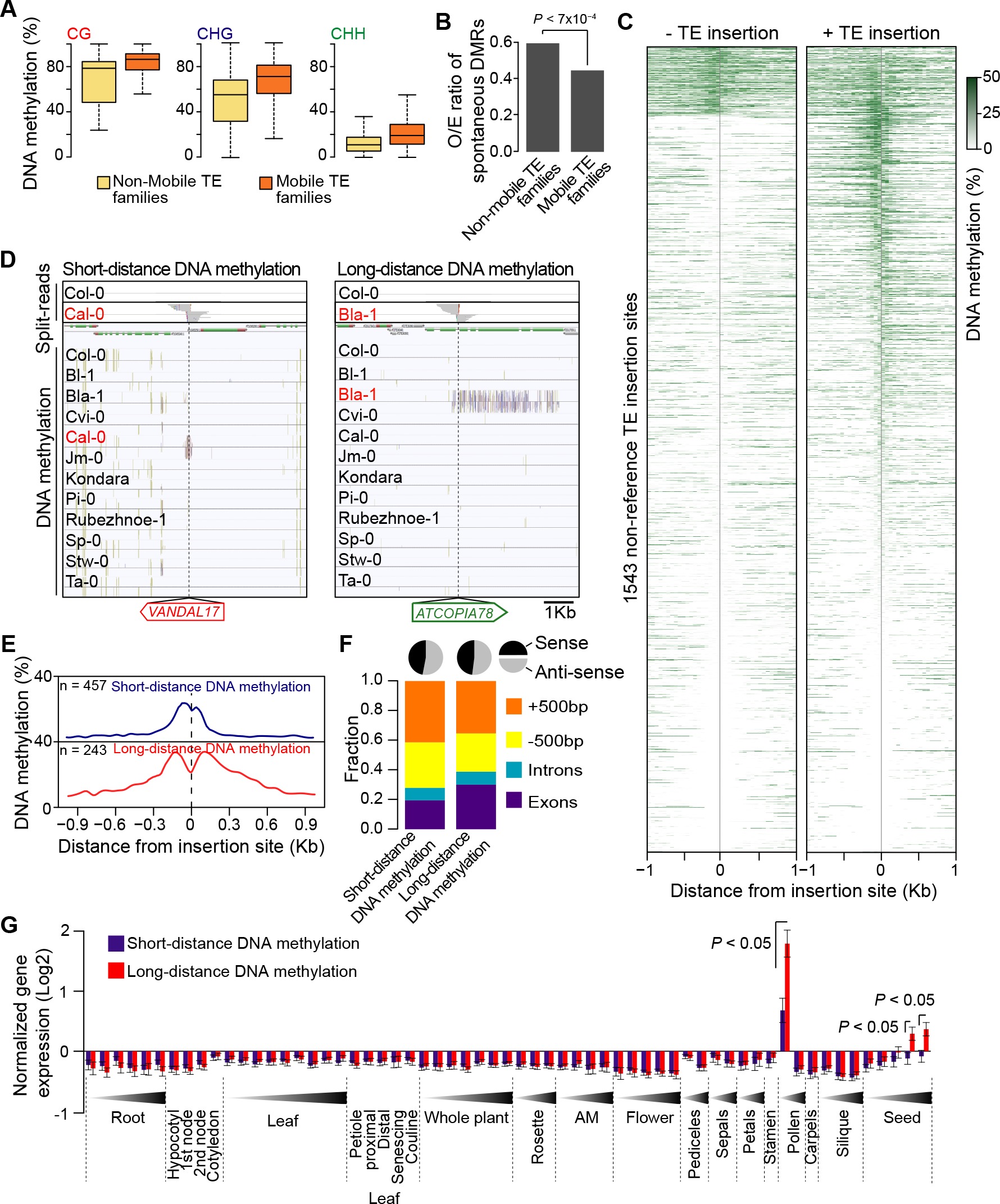 The Arabidopsis thaliana mobilome and its impact at the species level ...