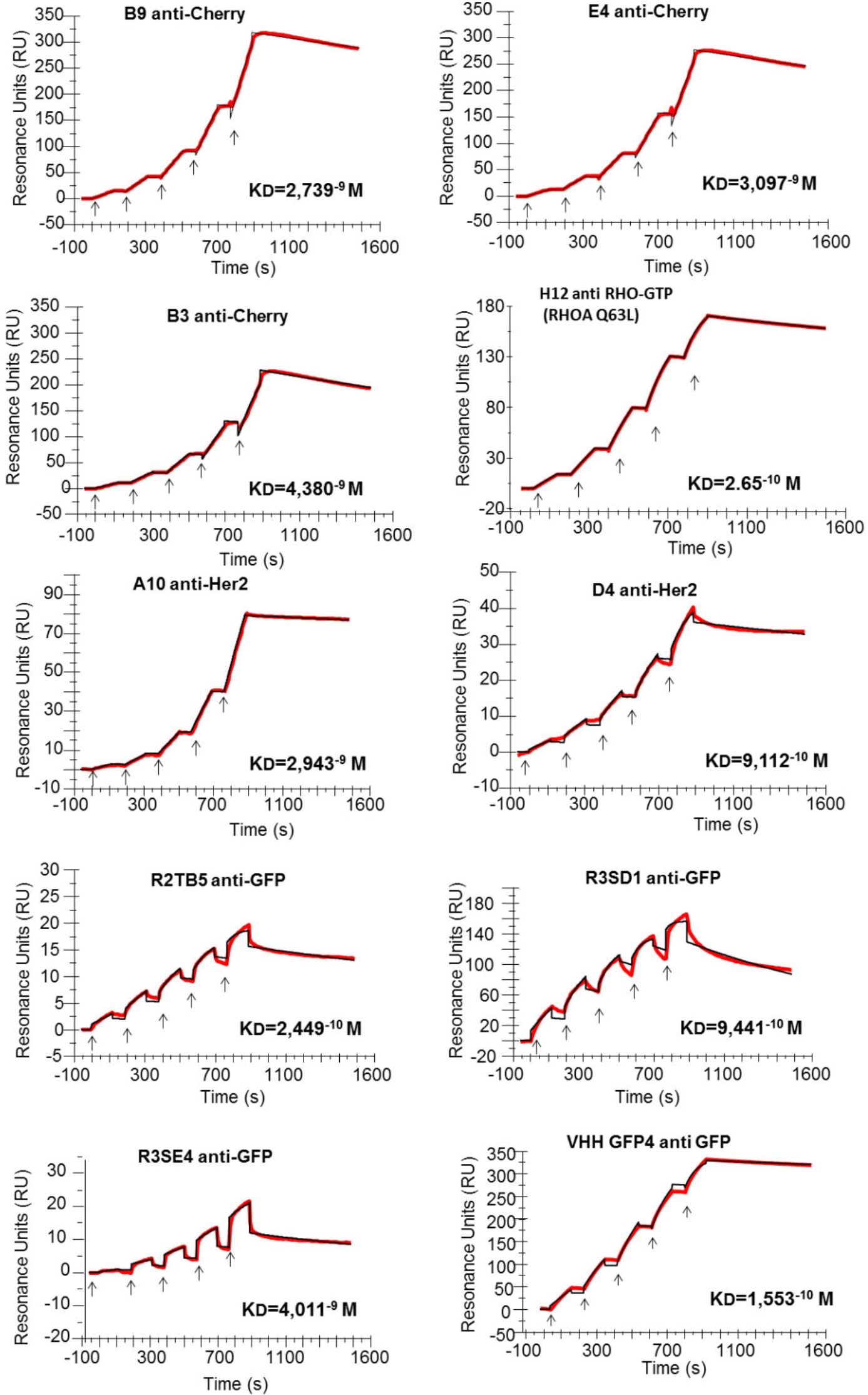 NaLi-H1: A universal synthetic library of humanized nanobodies ...