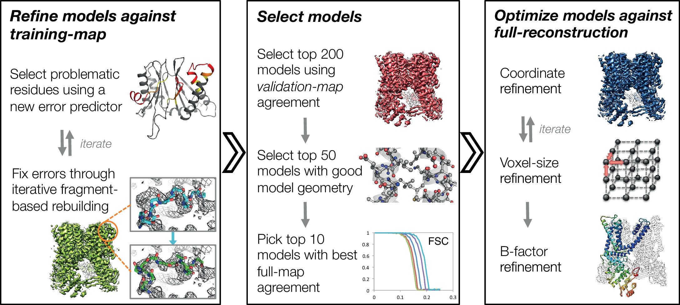 Automated structure refinement of macromolecular assemblies from cryo ...