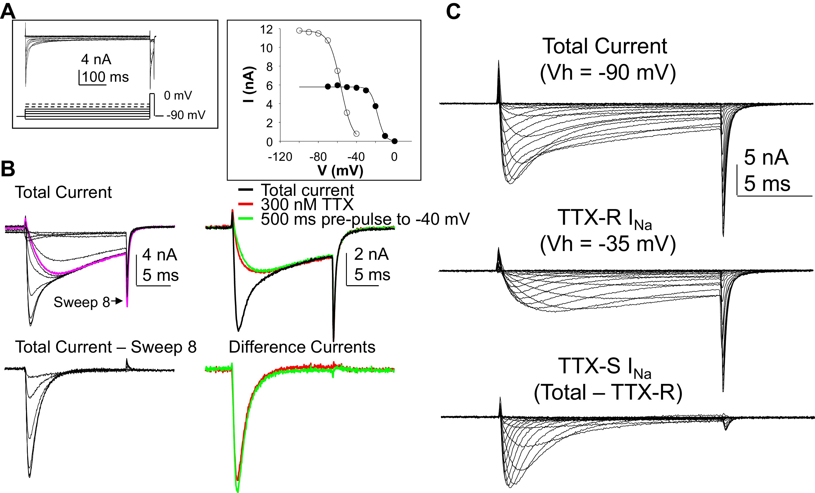 Voltage-gated Na+ currents in human dorsal root ganglion neurons | eLife