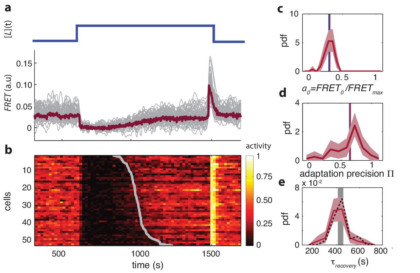 Phenotypic diversity and temporal variability in a bacterial signaling ...