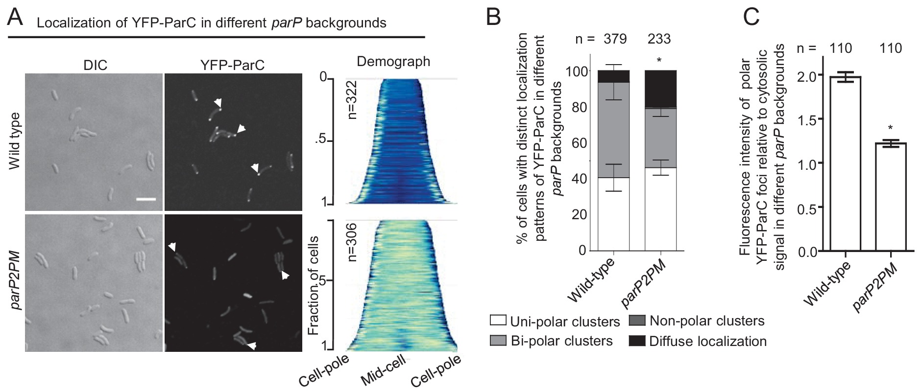 Coupling chemosensory array formation and localization | eLife Lens