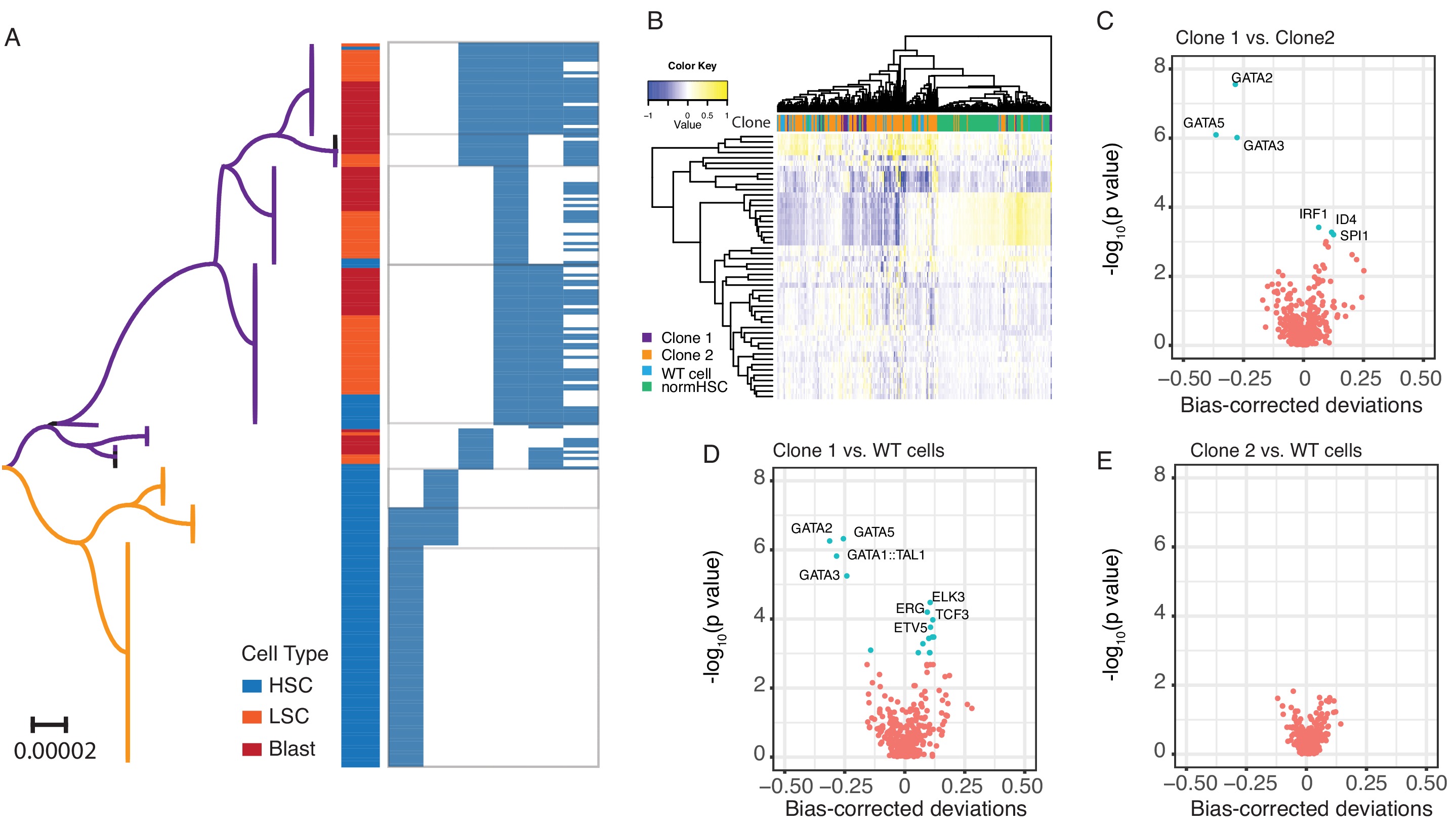 Single-cell lineage tracing by endogenous mutations enriched in ...
