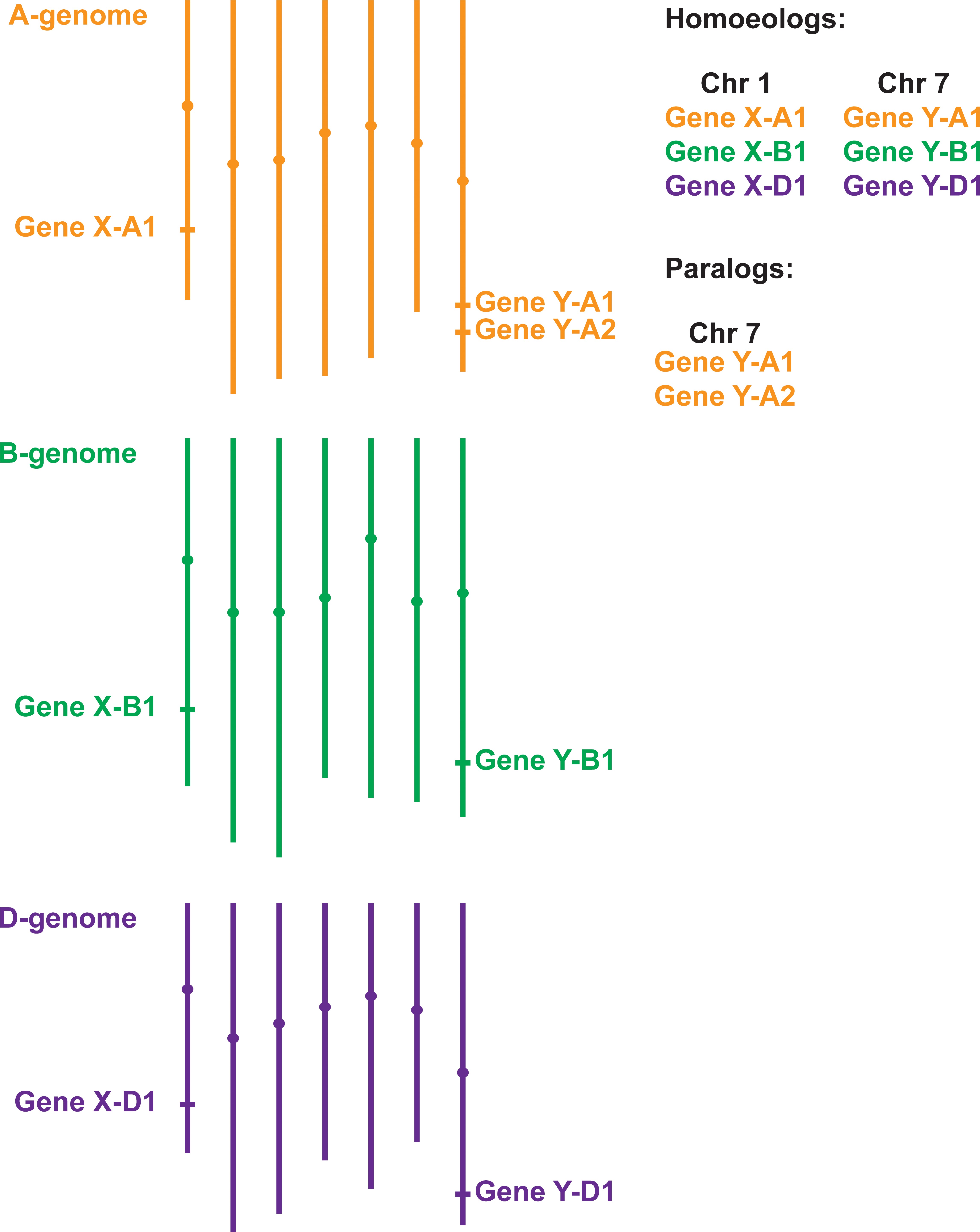 A roadmap for gene functional characterisation in crops with large ...