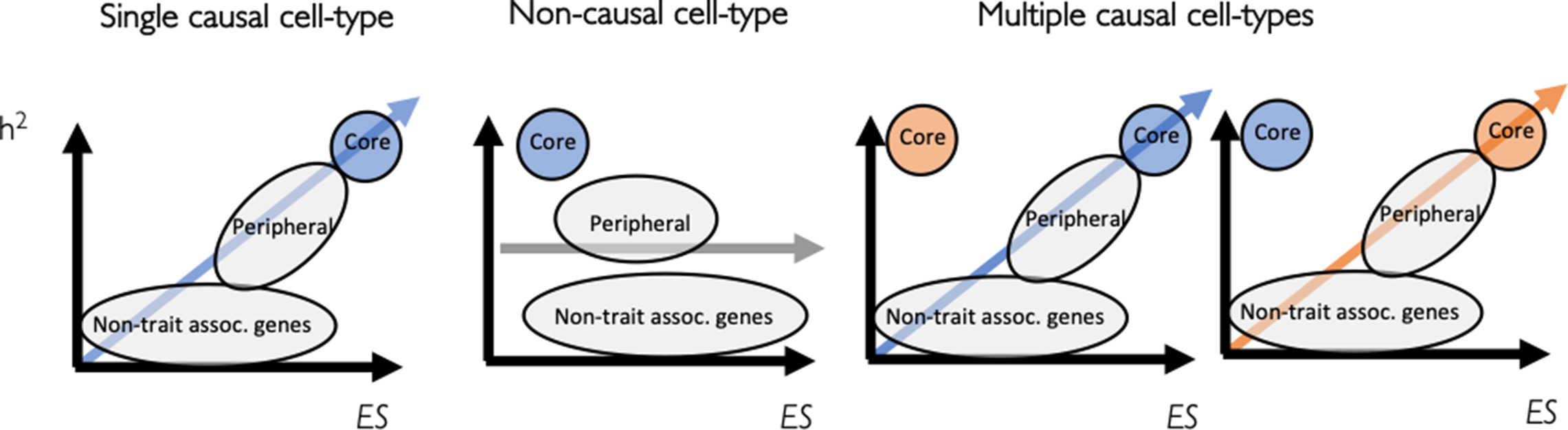 Genetic mapping of etiologic brain cell types for obesity | eLife Lens