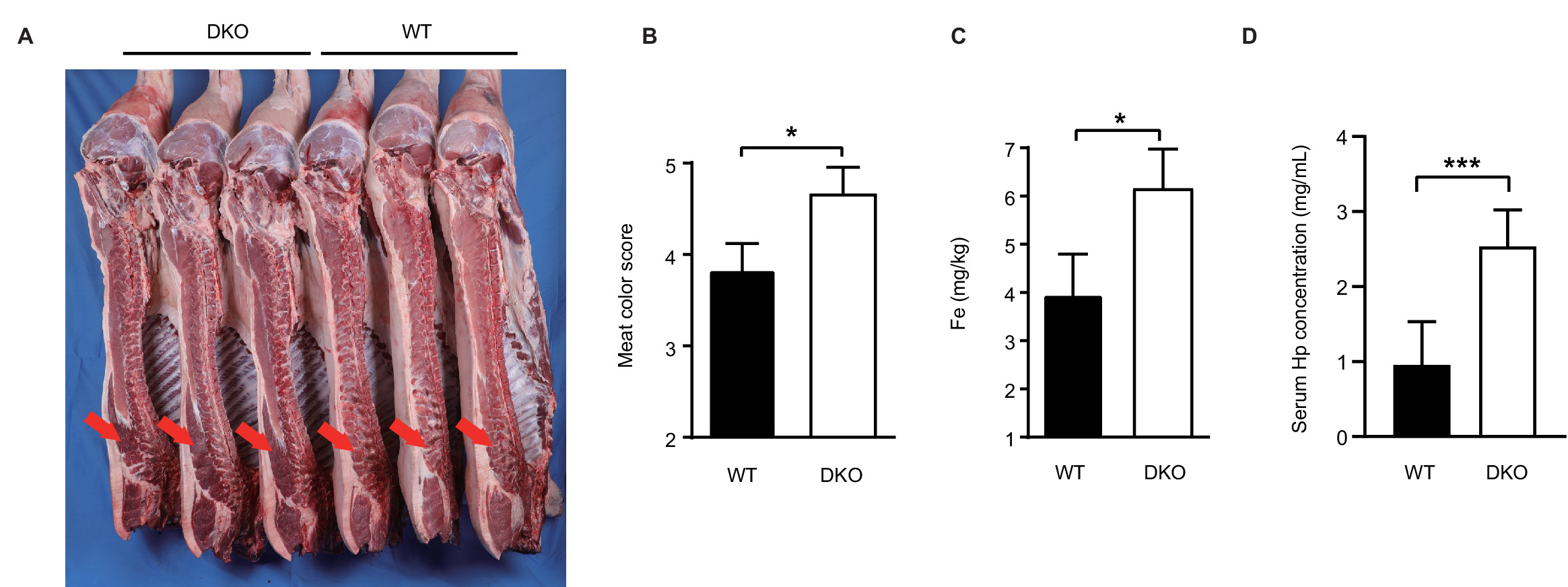 CD163 and pAPN double-knockout pigs are resistant to PRRSV and TGEV and ...
