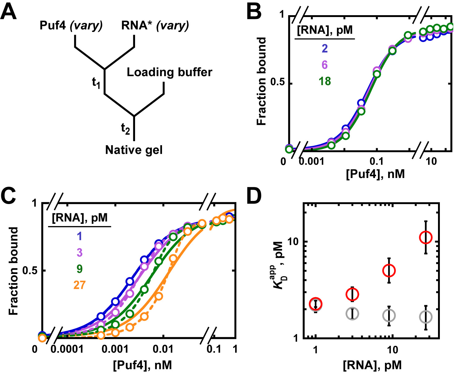 How to measure and evaluate binding affinities | eLife Lens