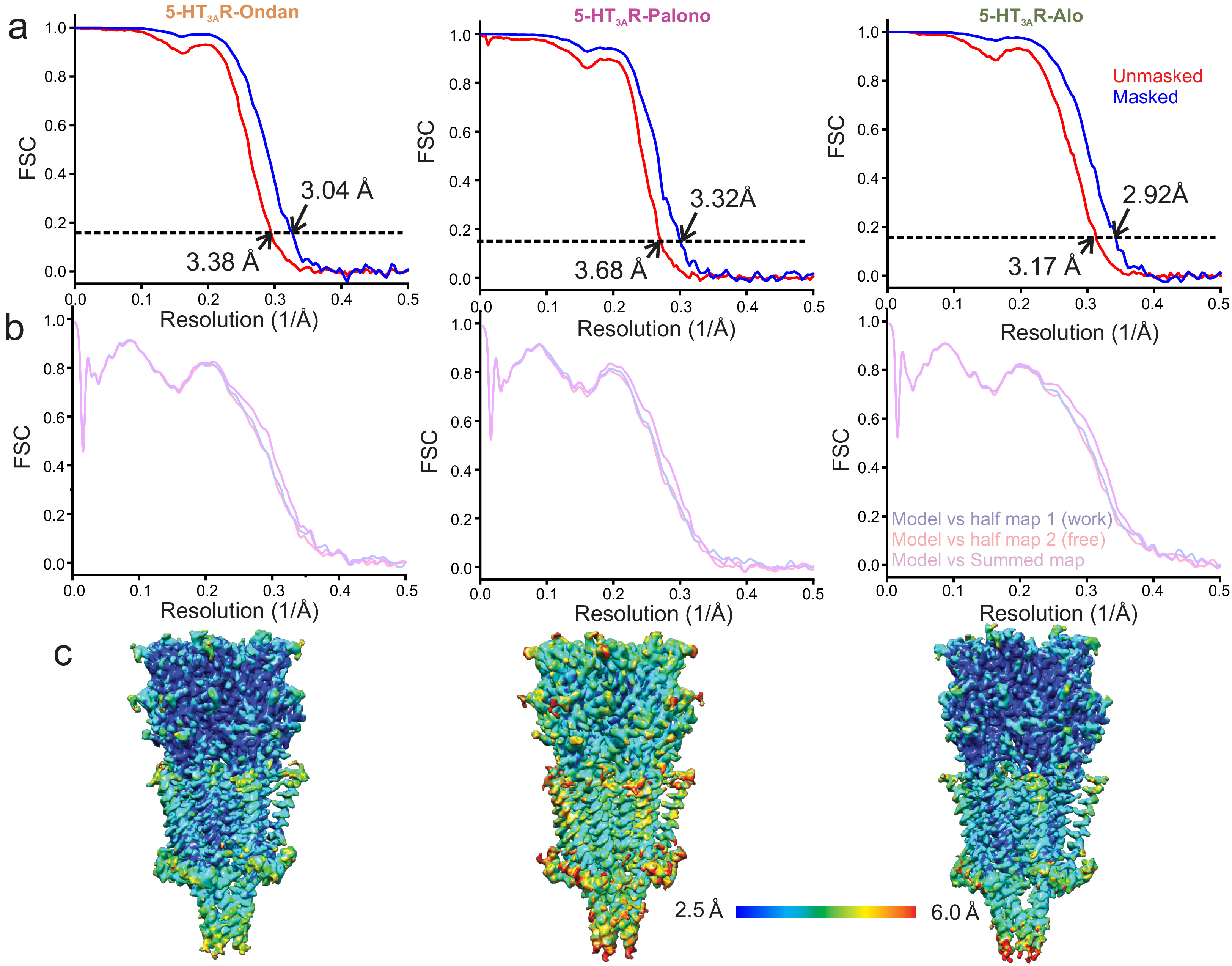 High-resolution structures of multiple 5-HT3AR-setron complexes reveal ...