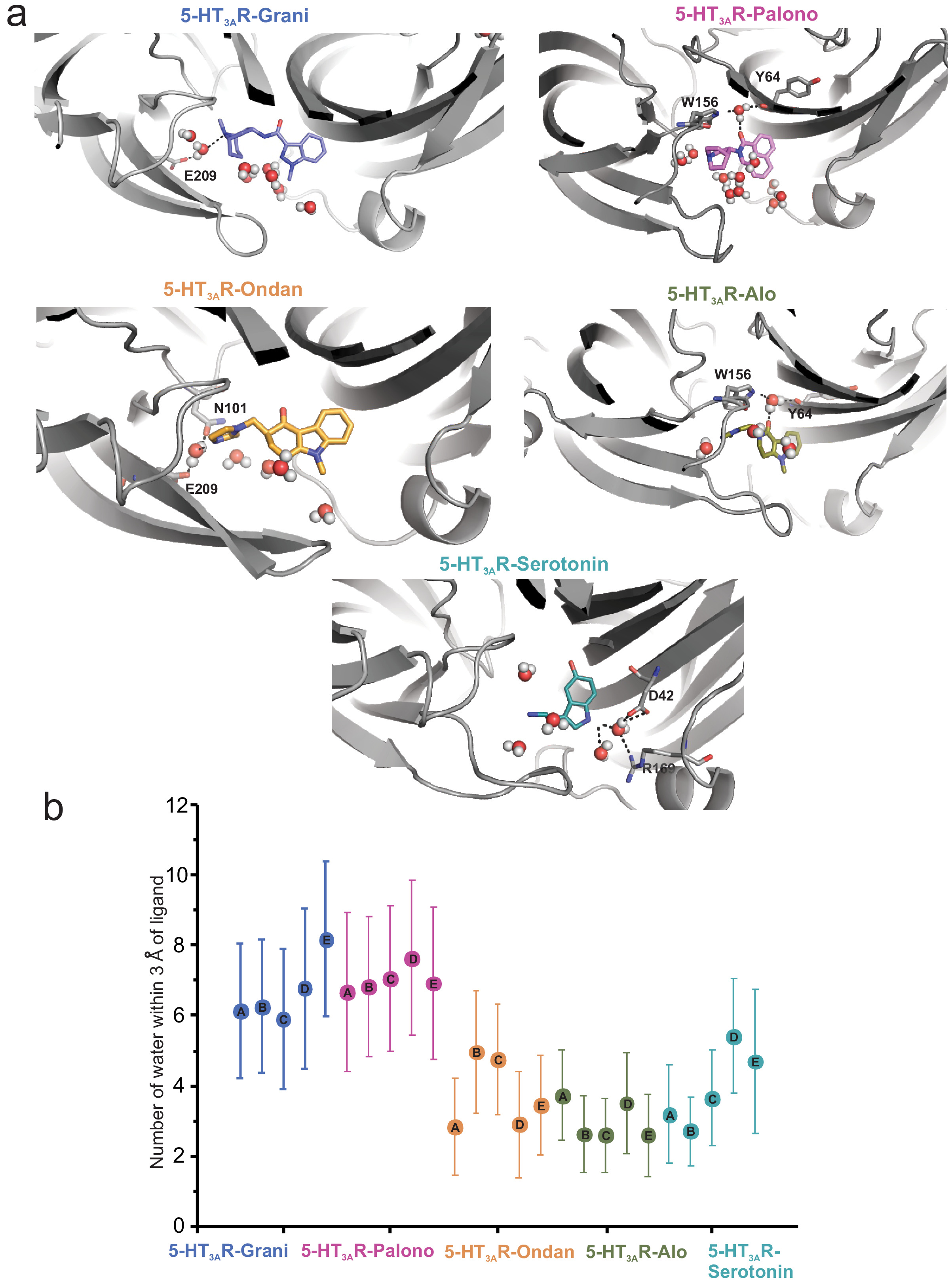 High-resolution structures of multiple 5-HT3AR-setron complexes reveal ...