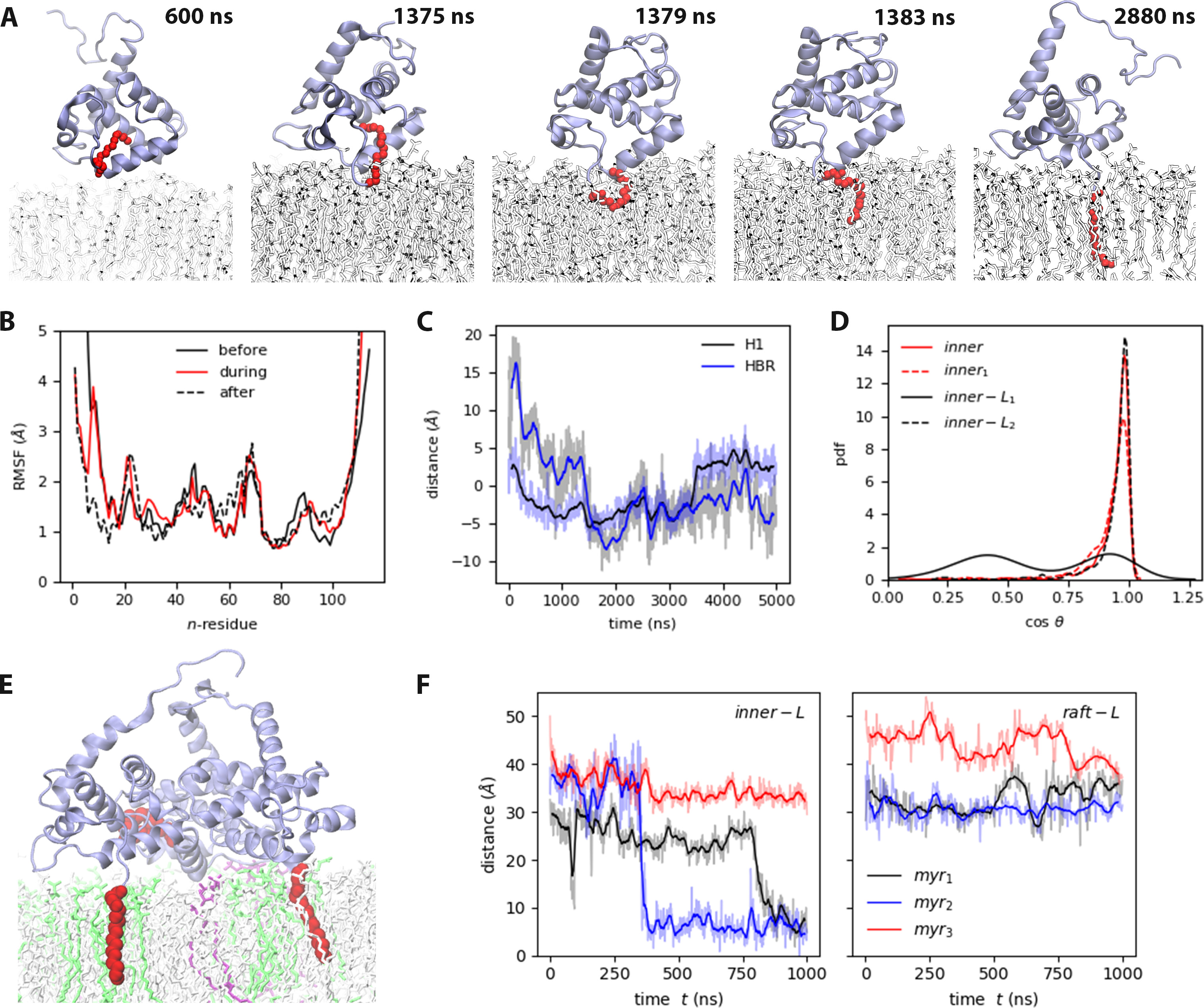 Binding mechanism of the matrix domain of HIV-1 gag on lipid membranes ...