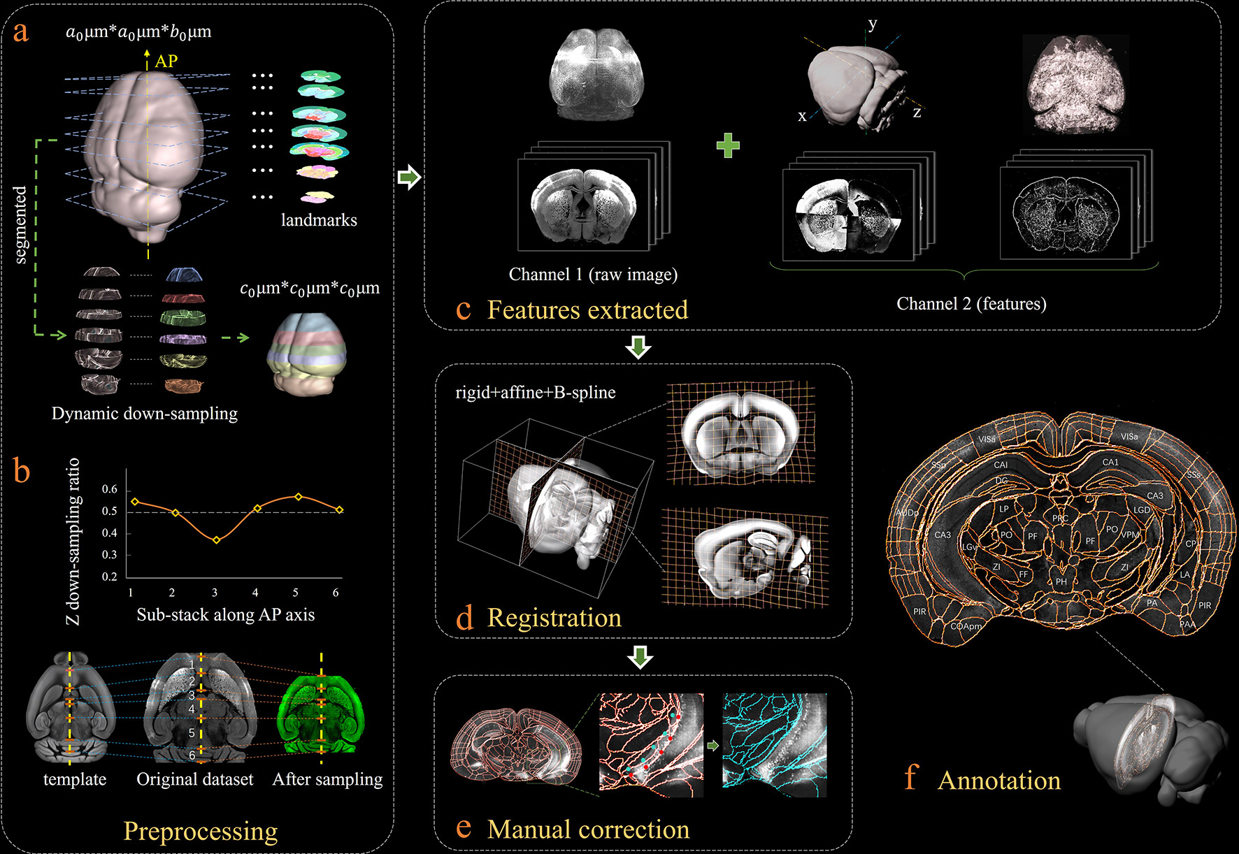 Bi-channel image registration and deep-learning segmentation (BIRDS ...