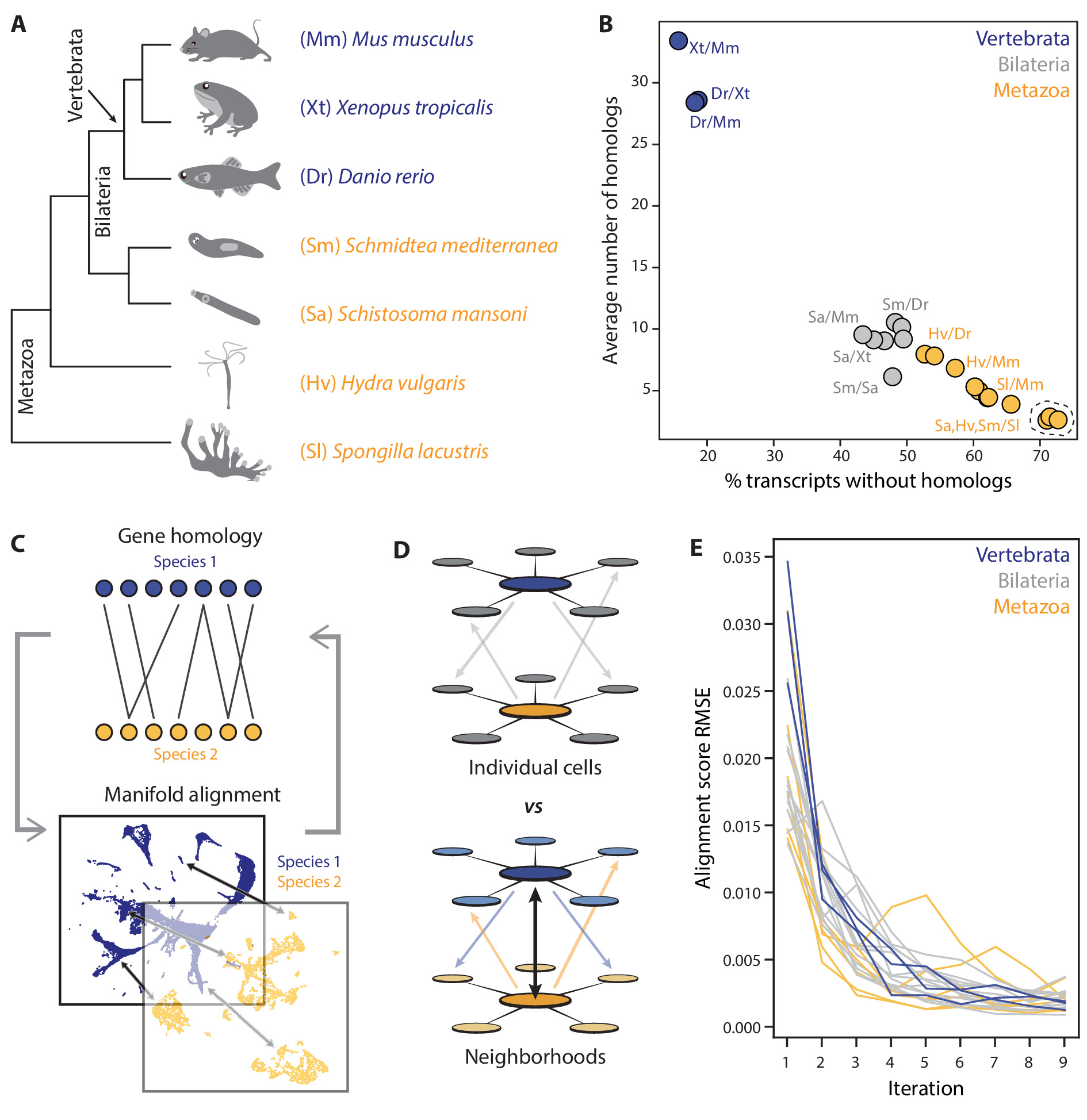 Mapping single-cell atlases throughout Metazoa unravels cell type ...