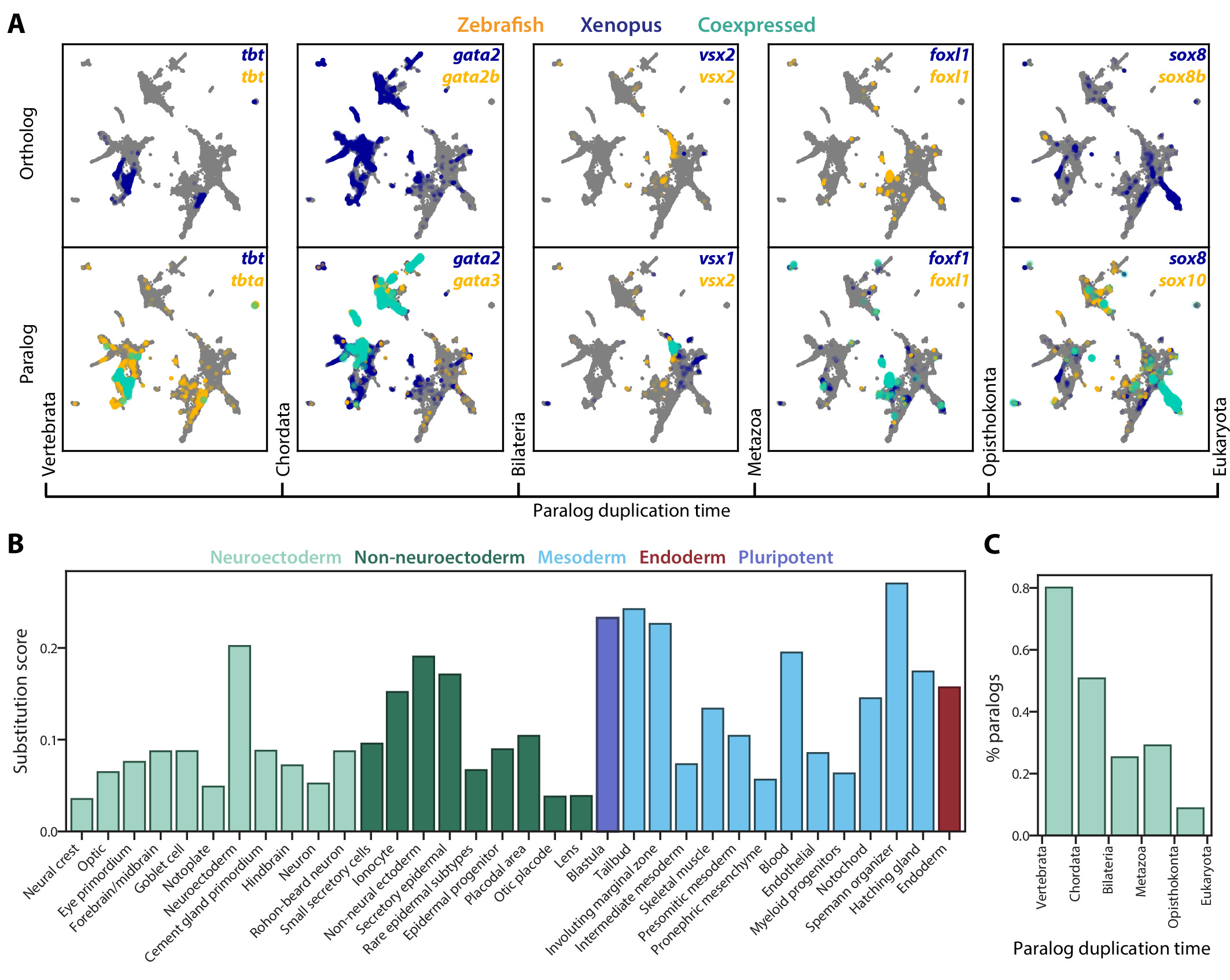 Mapping single-cell atlases throughout Metazoa unravels cell type ...
