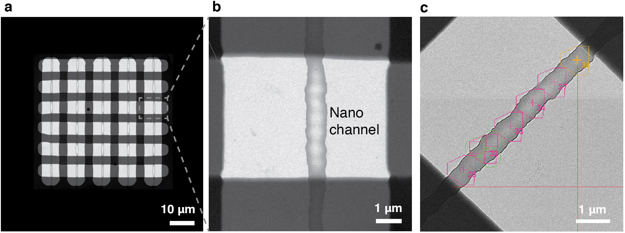Nanofluidic chips for cryo-EM structure determination from picoliter ...