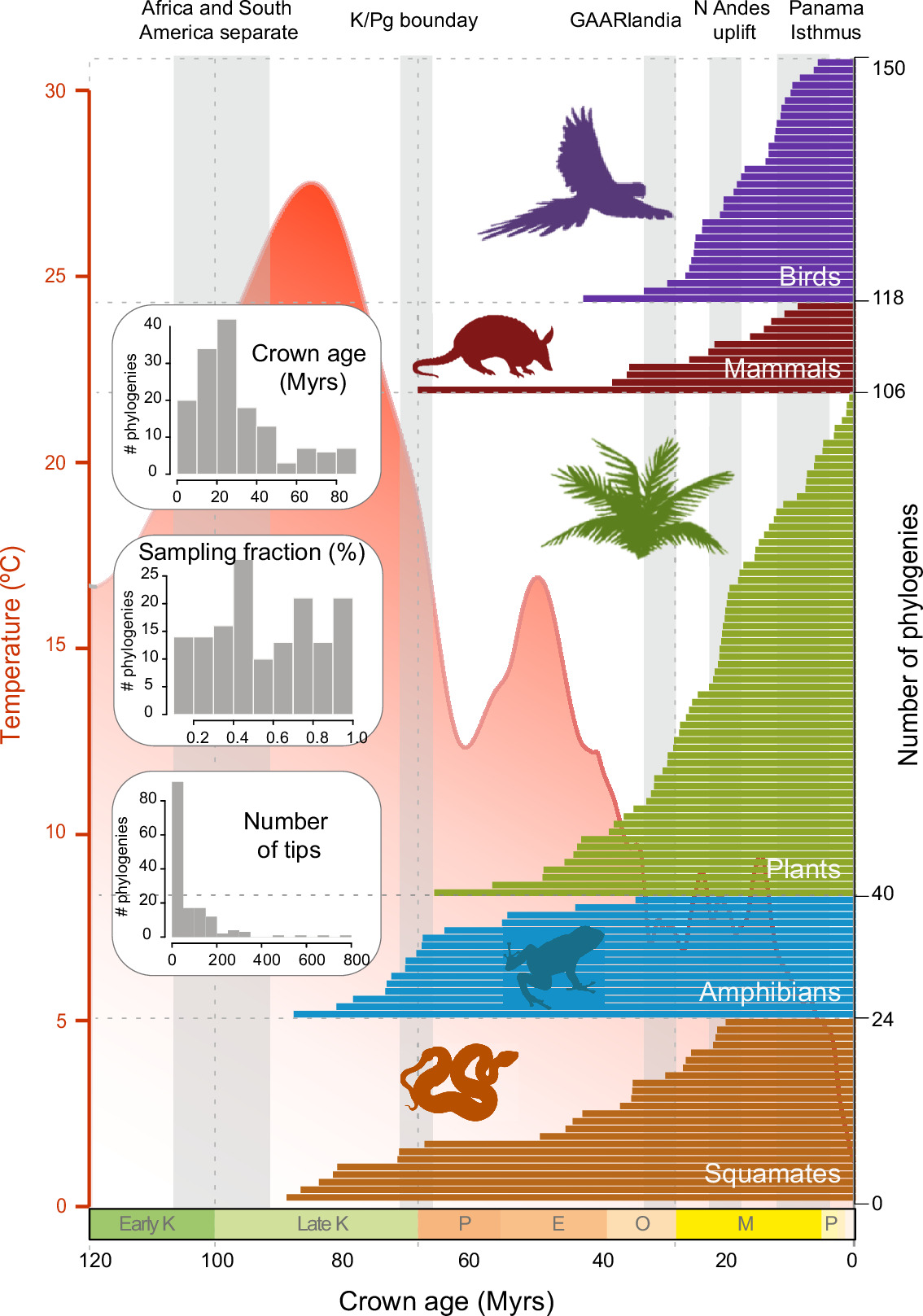 Diversification dynamics in the Neotropics through time, clades, and ...