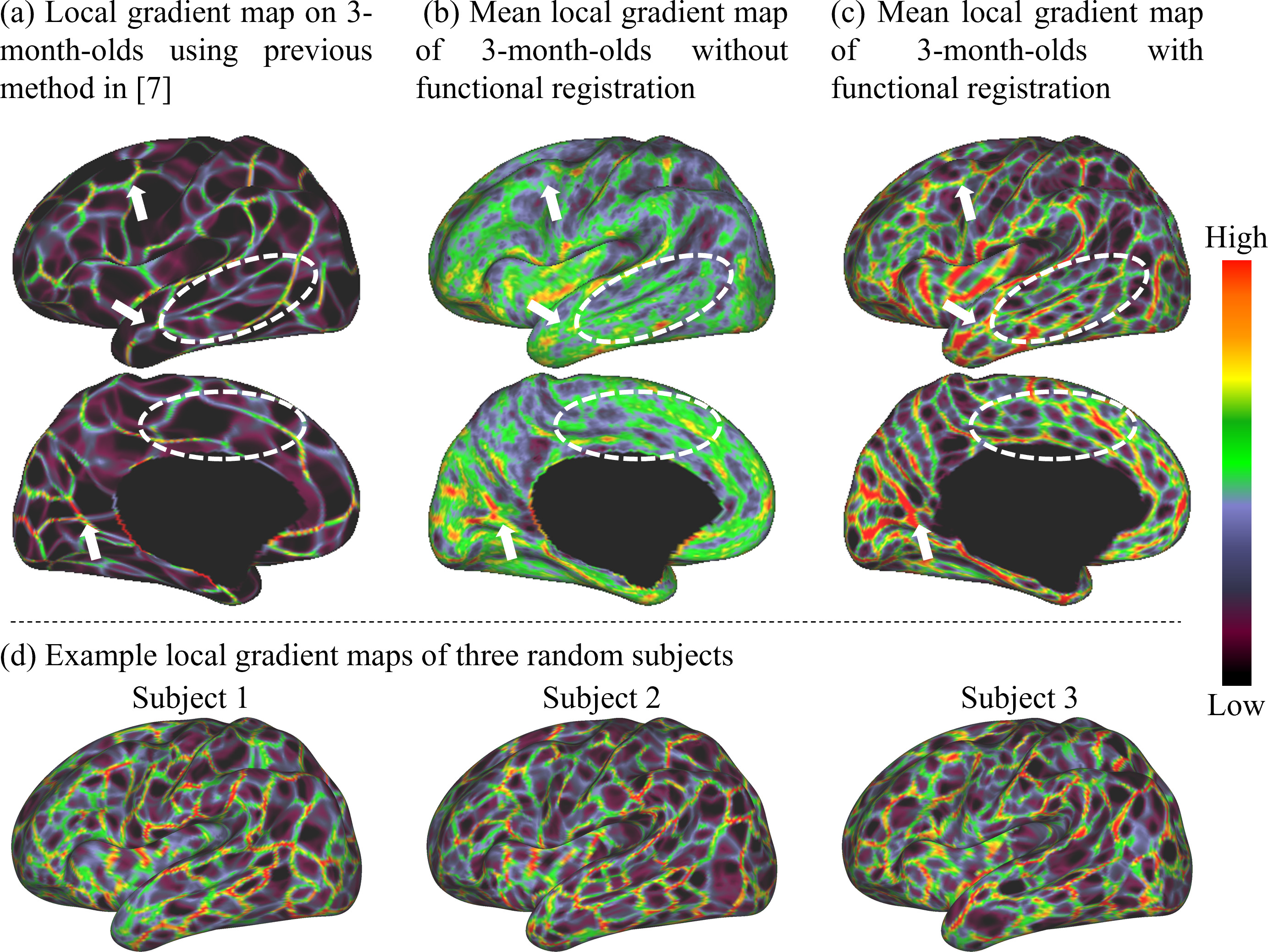 Fine-grained functional parcellation maps of the infant cerebral cortex ...