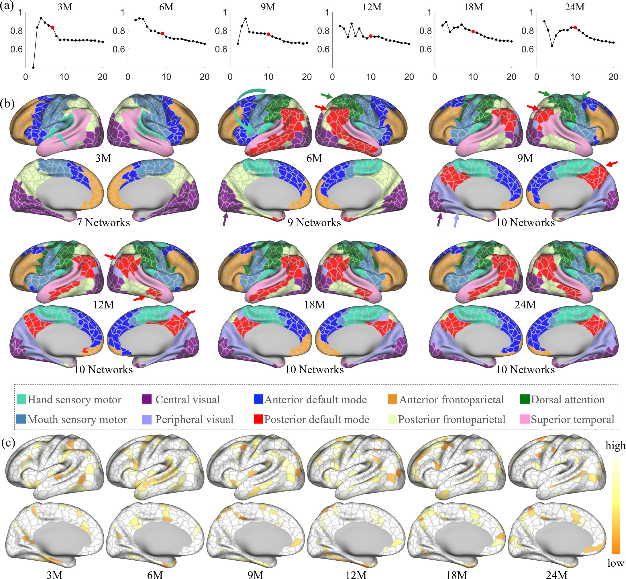 Fine-grained functional parcellation maps of the infant cerebral cortex ...