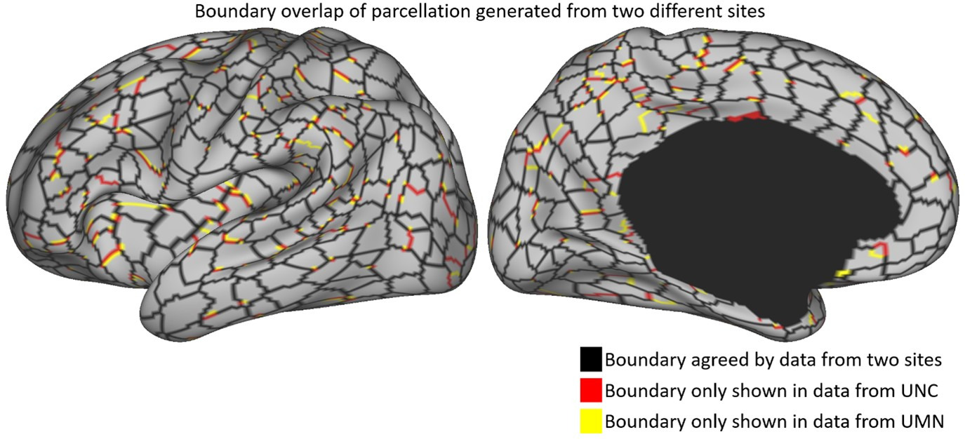 Fine-grained functional parcellation maps of the infant cerebral cortex ...