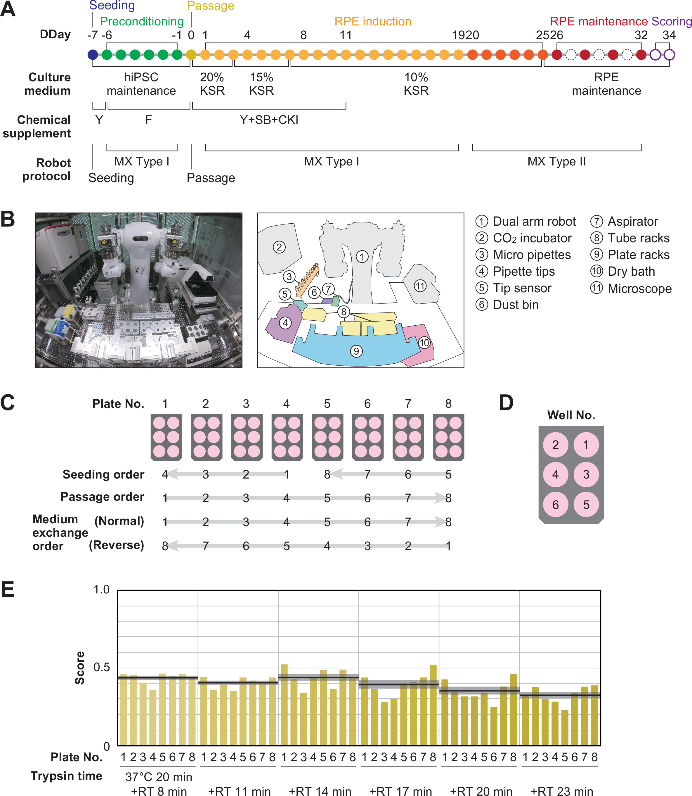 Robotic search for optimal cell culture in regenerative medicine ...