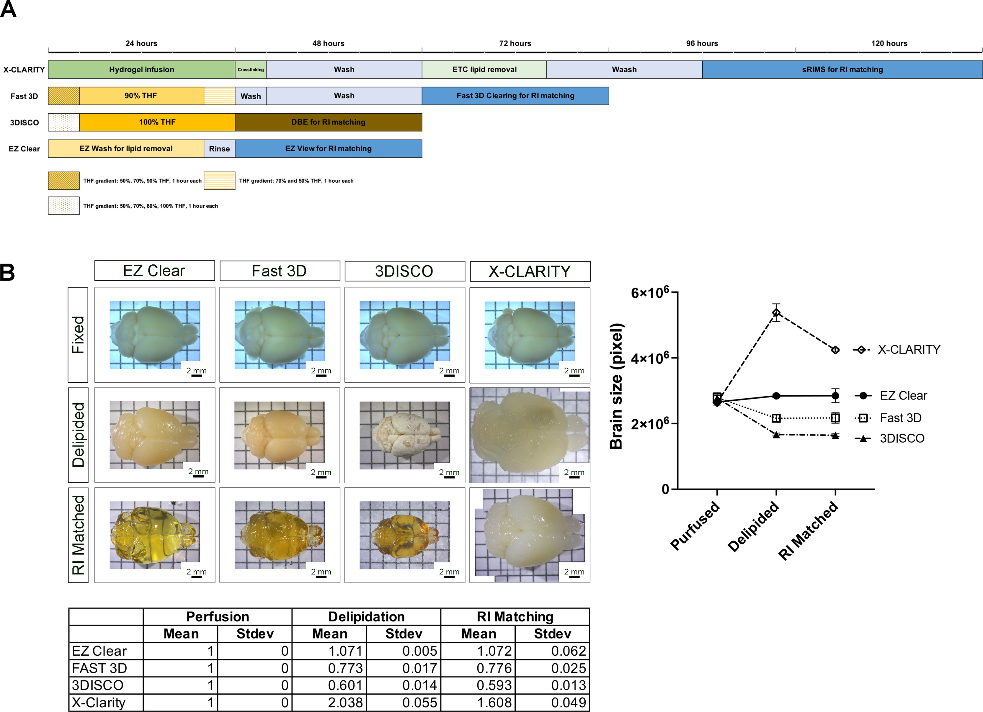 EZ Clear for simple, rapid, and robust mouse whole organ clearing ...