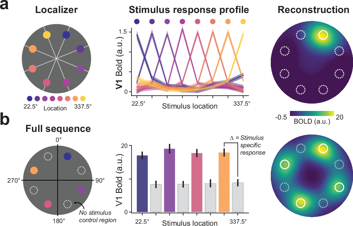 Successor-like representation guides the prediction of future events in ...