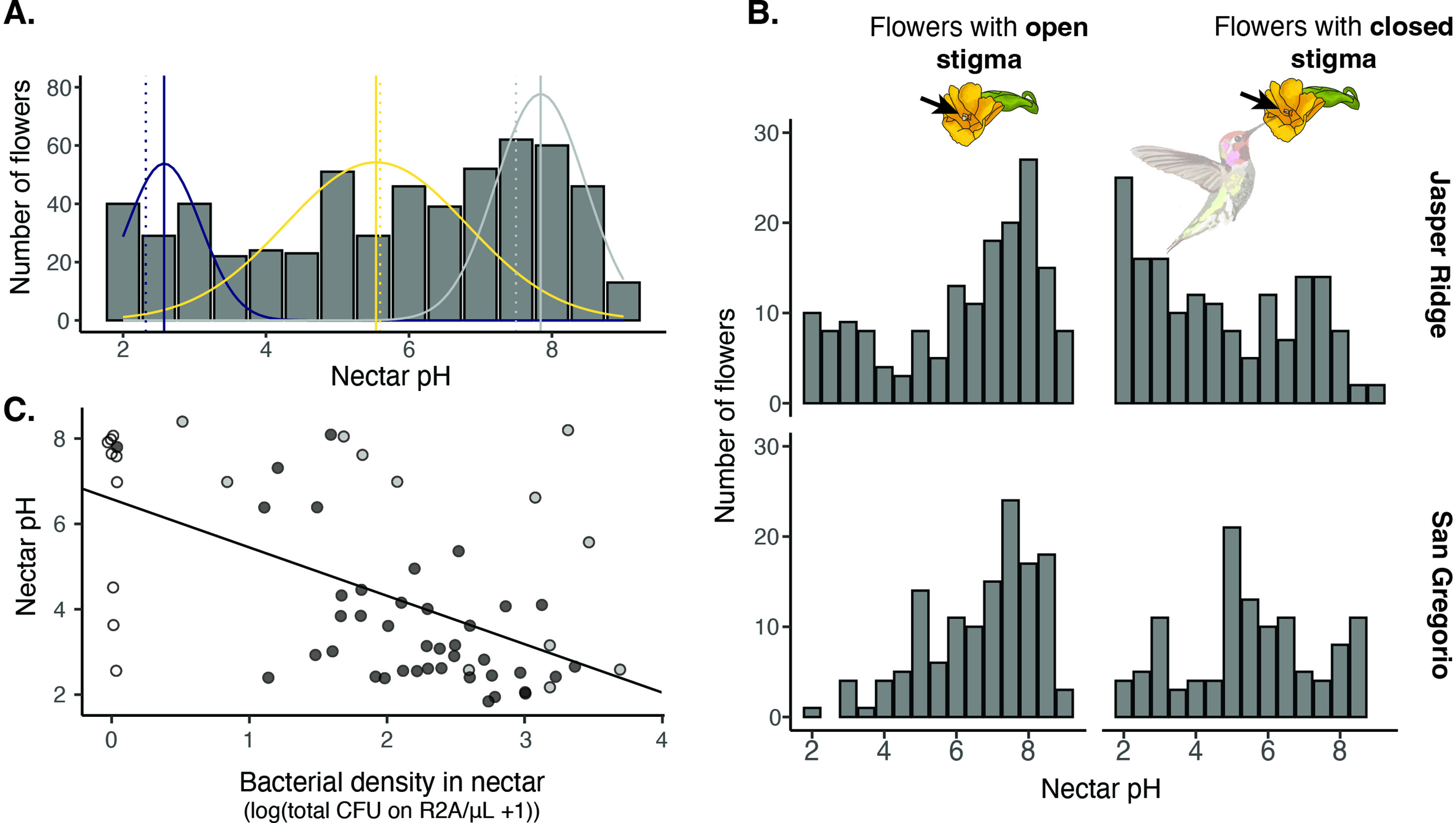 Wide-ranging consequences of priority effects governed by an ...