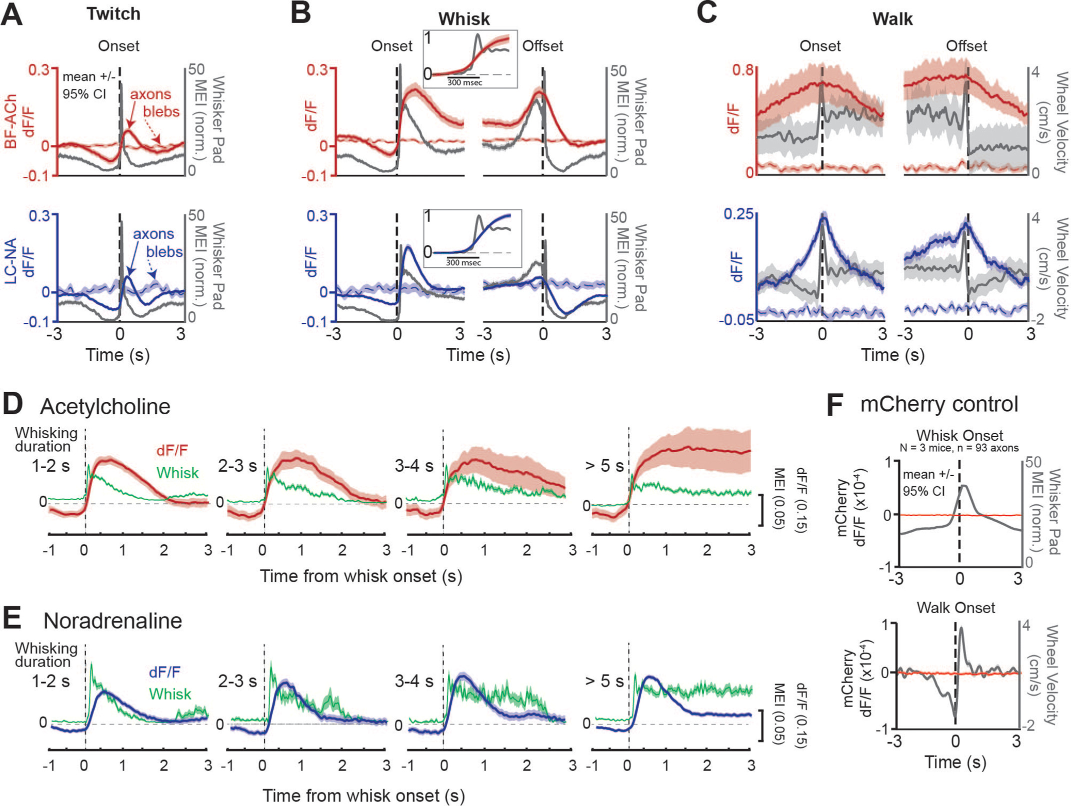 Cholinergic and noradrenergic axonal activity contains a behavioral ...