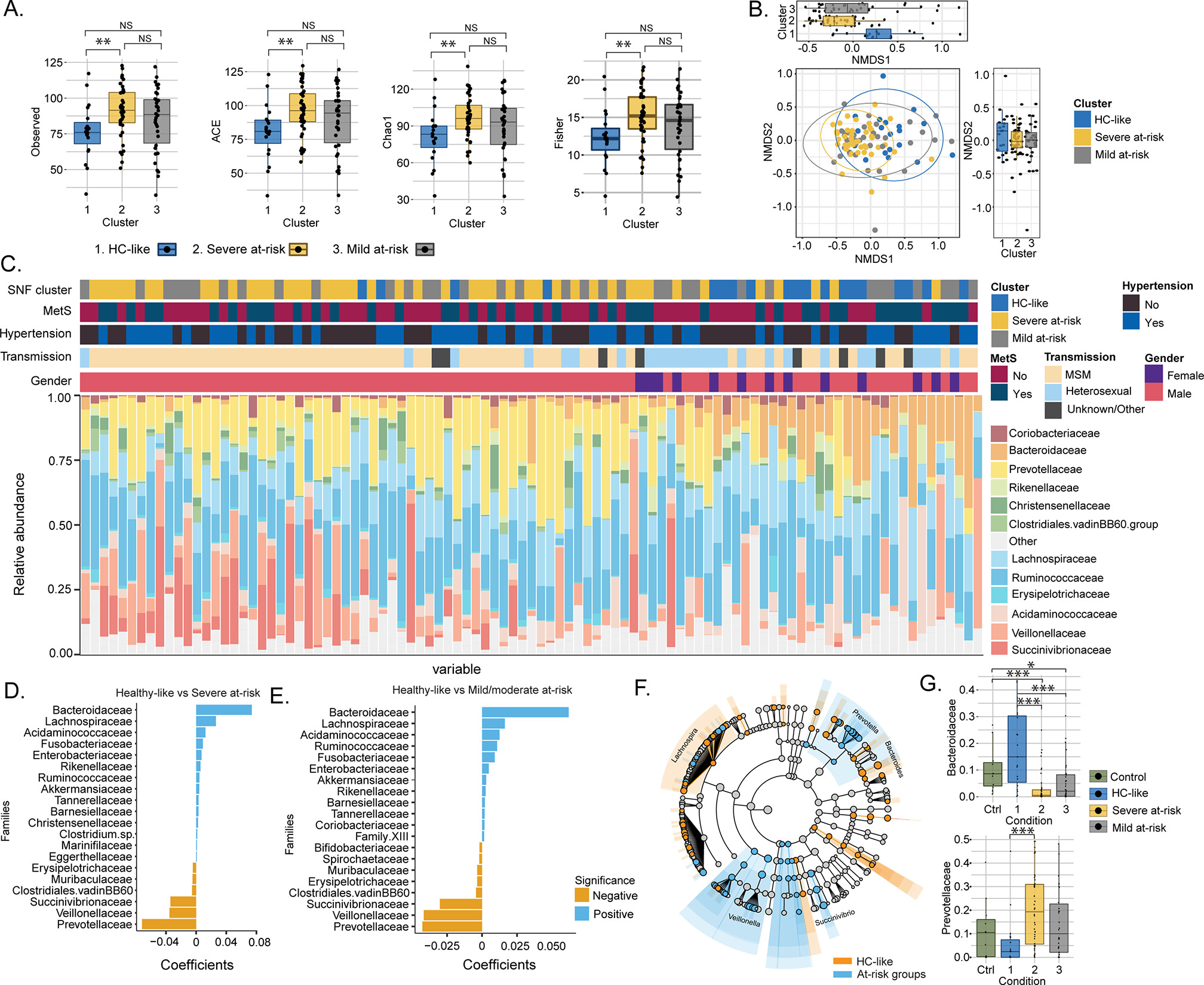Network-based multi-omics integration reveals metabolic at-risk profile ...