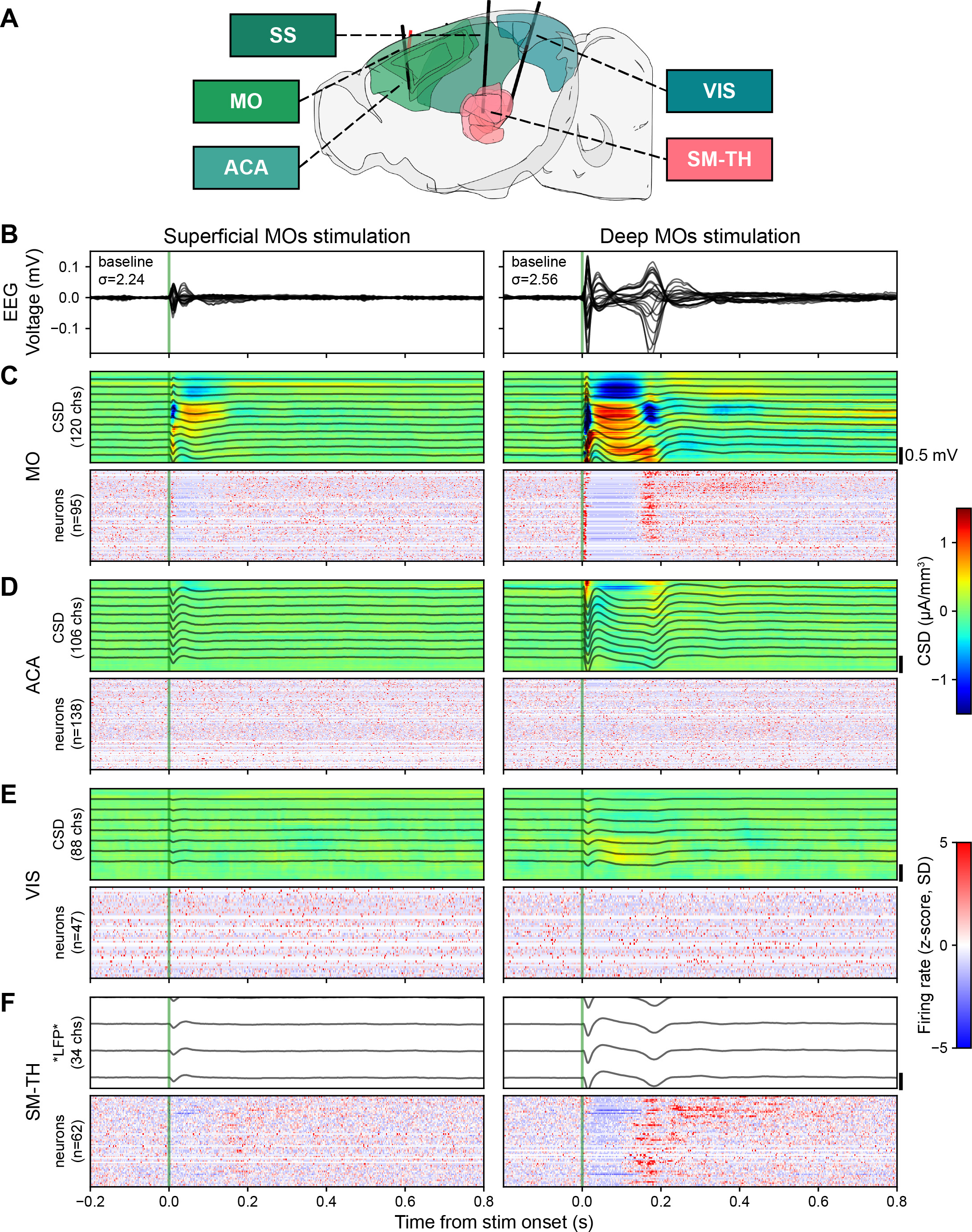 Cortico-thalamo-cortical interactions modulate electrically evoked EEG ...
