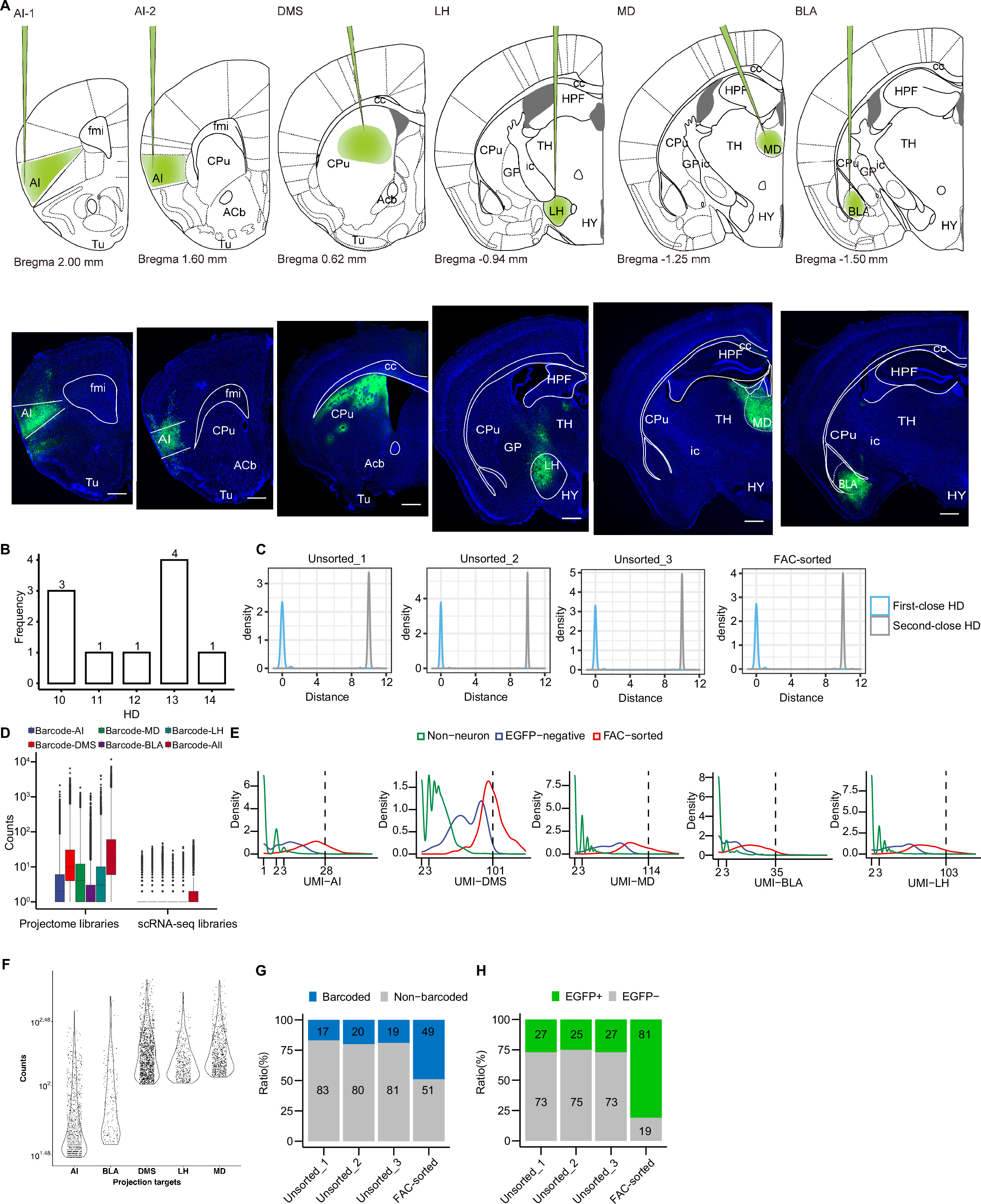 High-throughput mapping of single-neuron projection and molecular ...