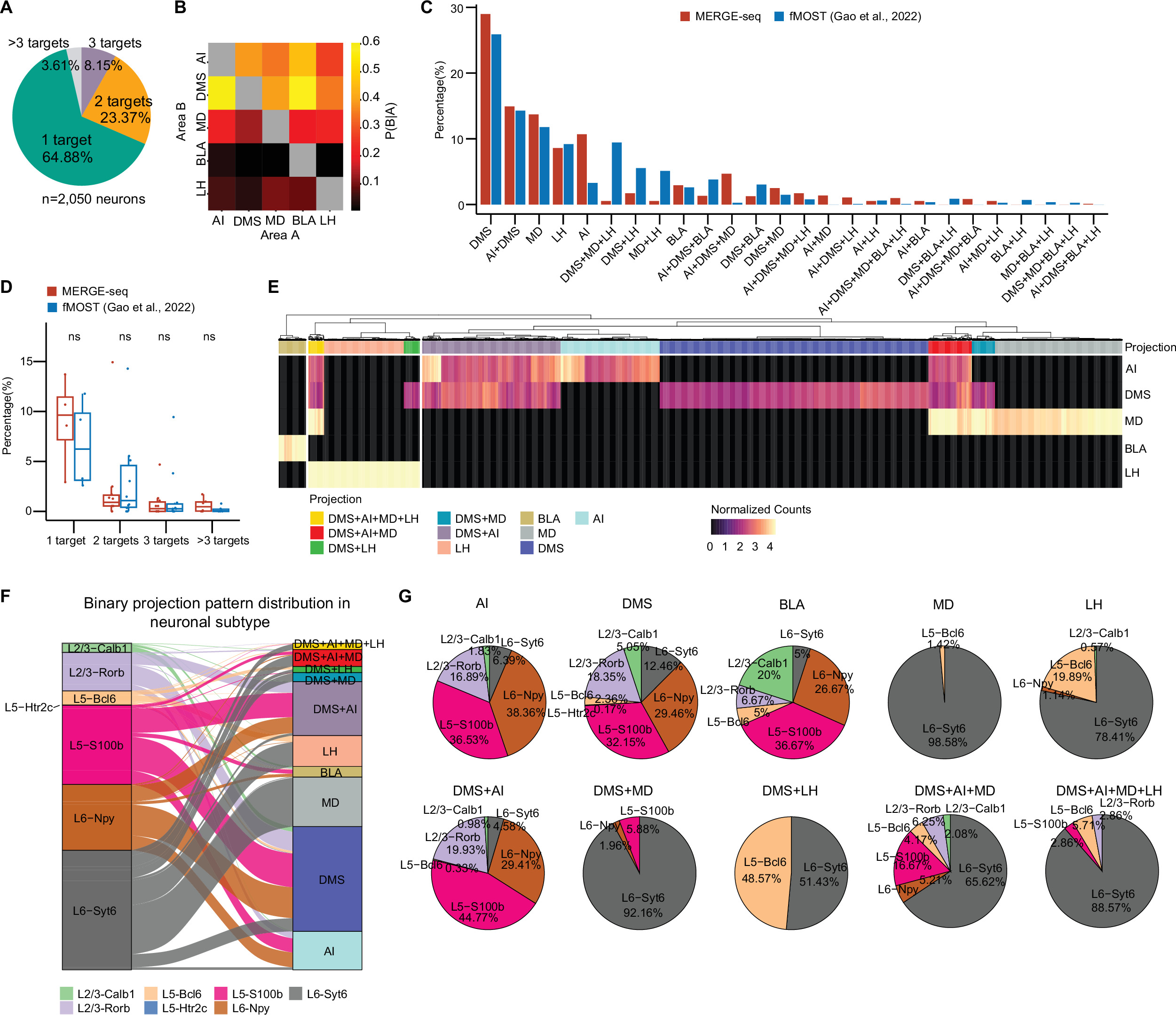 High-throughput mapping of single-neuron projection and molecular ...