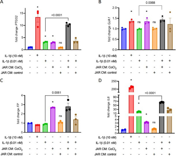 Hypoxia-inducible factor 1 signaling drives placental aging and can ...
