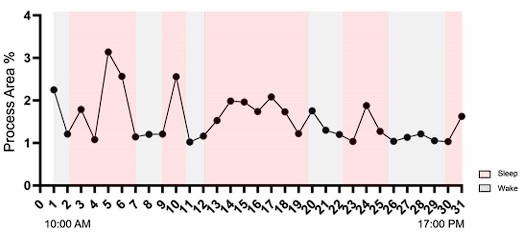 Imaging microglia surveillance during sleep-wake cycles in freely ...