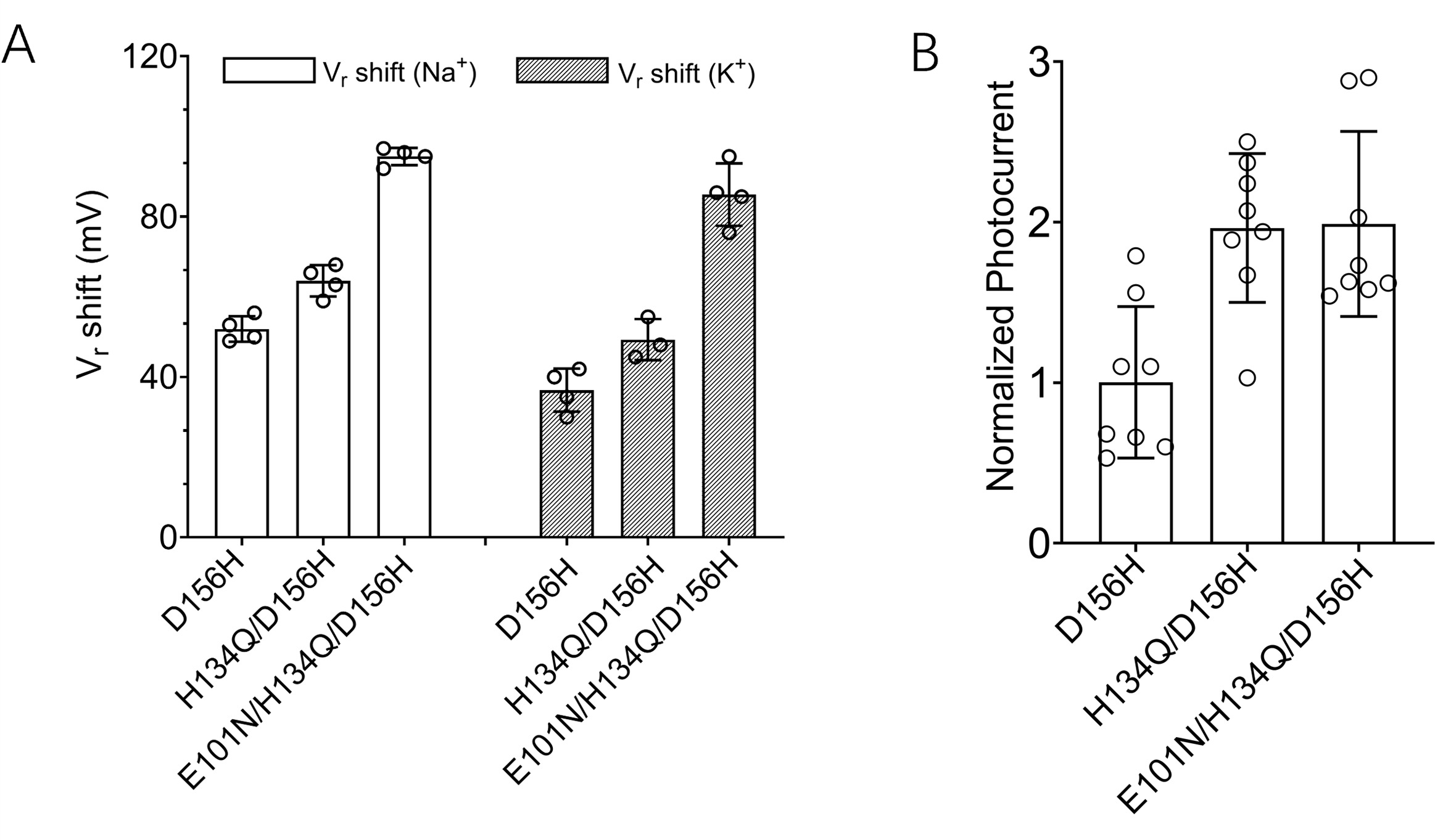 Diminishing neuronal acidification by channelrhodopsins with low proton ...