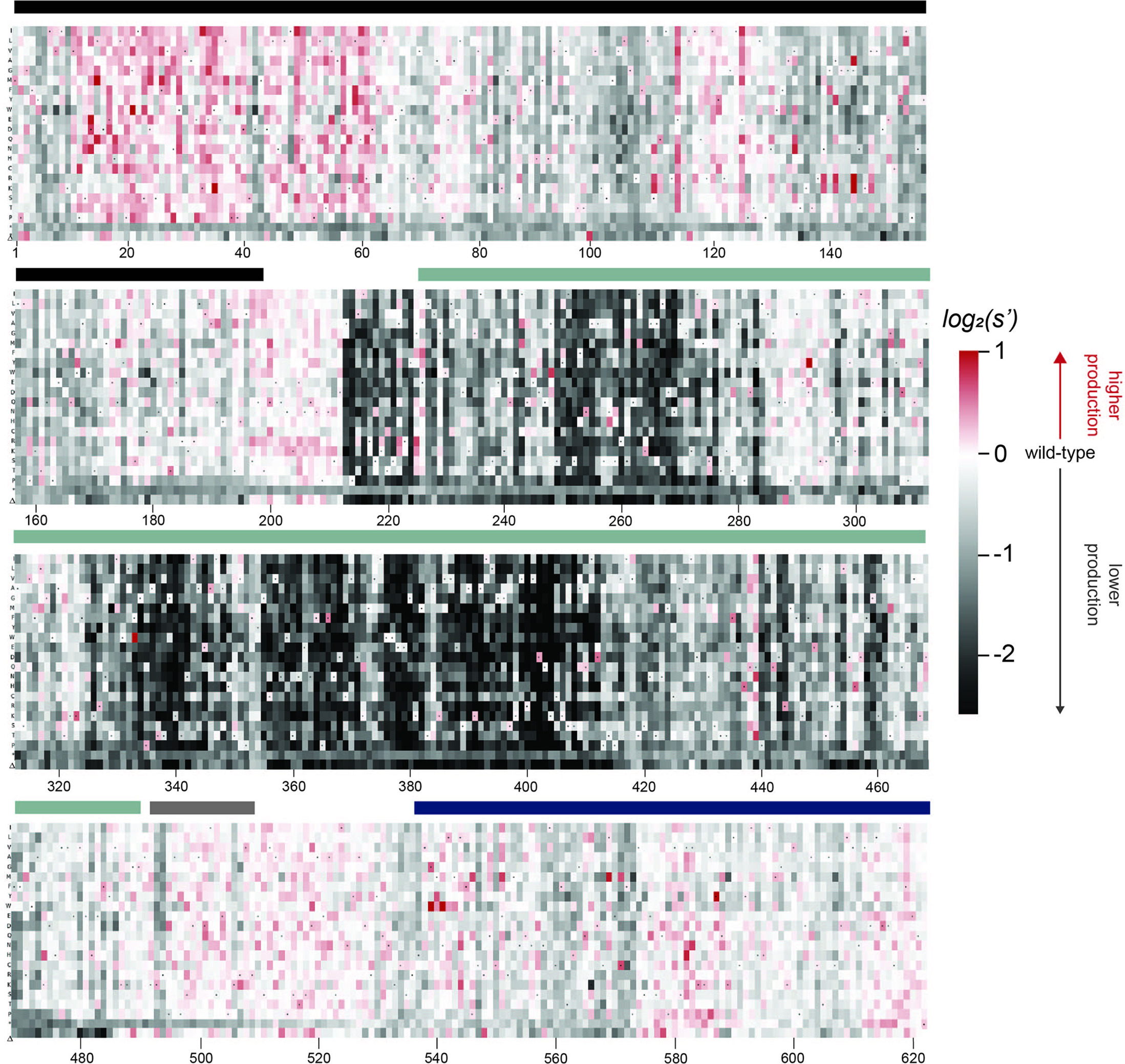 Comprehensive mutagenesis maps the effect of all single-codon mutations ...