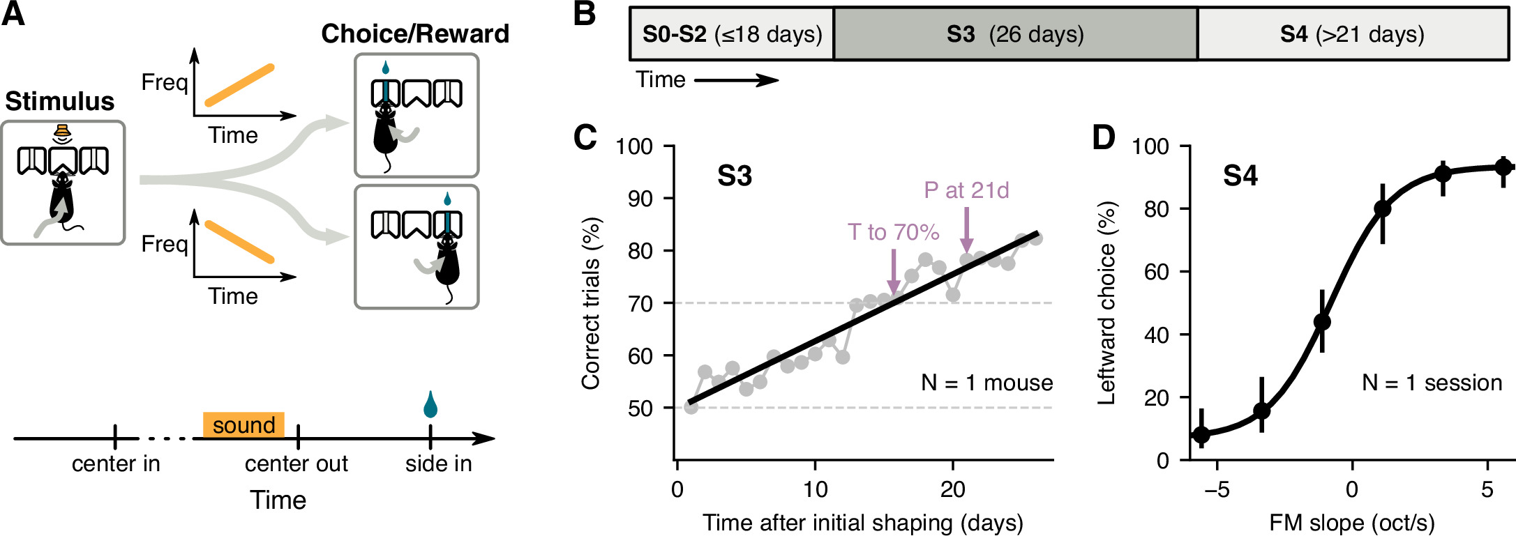 Passive exposure to task-relevant stimuli enhances categorization ...