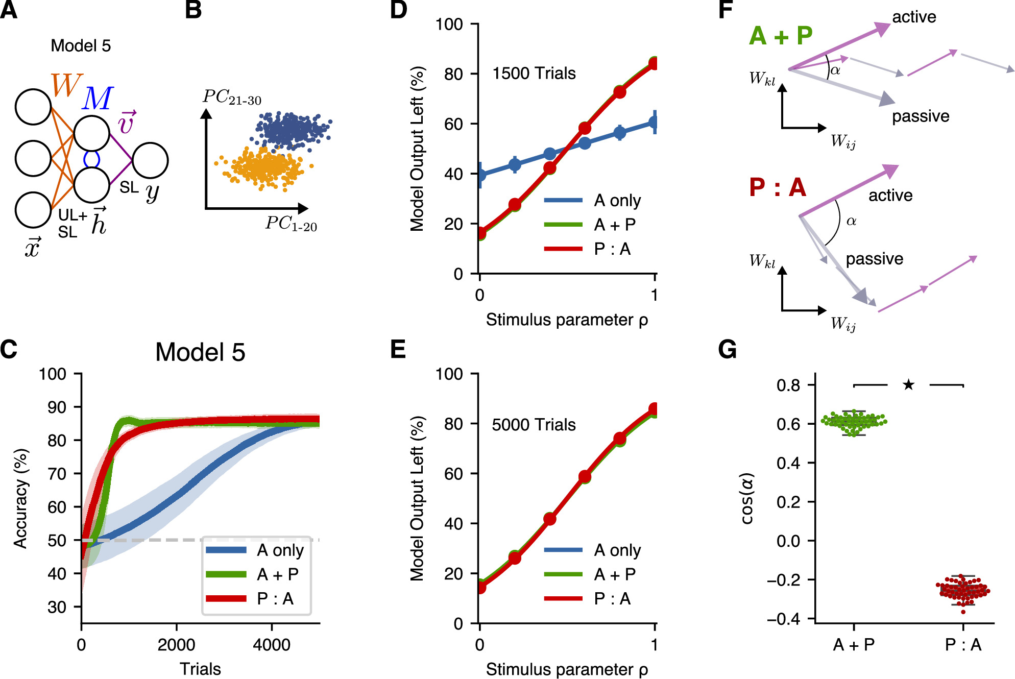 Passive exposure to task-relevant stimuli enhances categorization ...