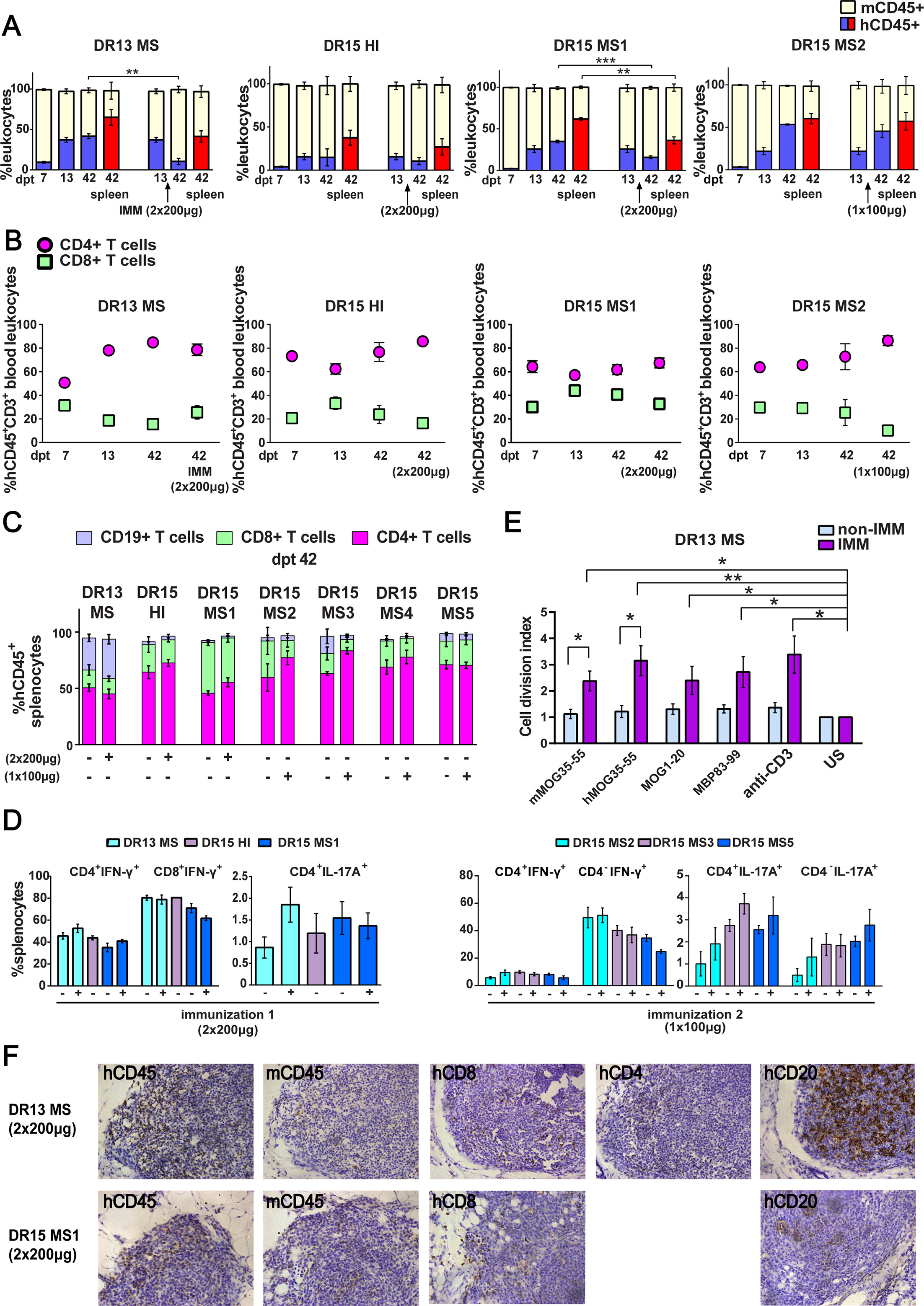 Spontaneous human CD8 T cell and autoimmune encephalomyelitis-induced ...