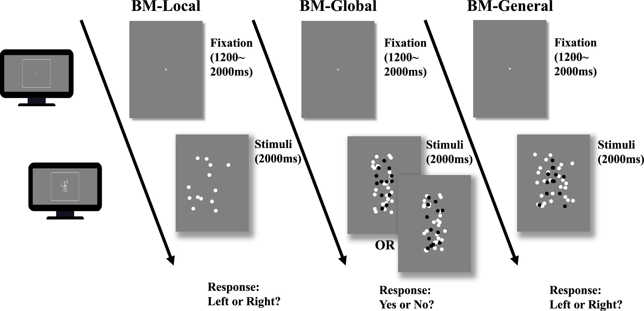 Atypical local and global biological motion perception in children with ...